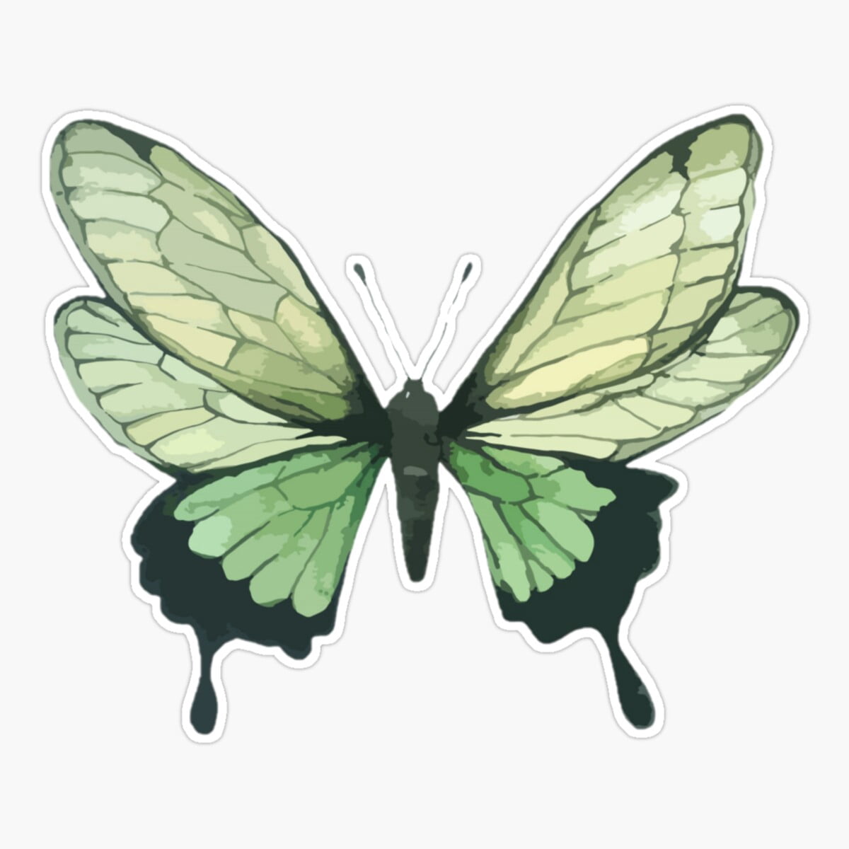 Onim Green Butterfly Sticker, Phone Decal Water Bottle Stickers Car ...