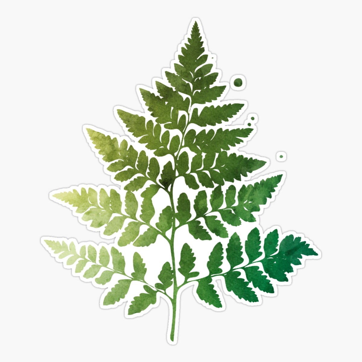 Onim Green Fern Leaf Sticker, Phone Decal Water Bottle Stickers Car ...
