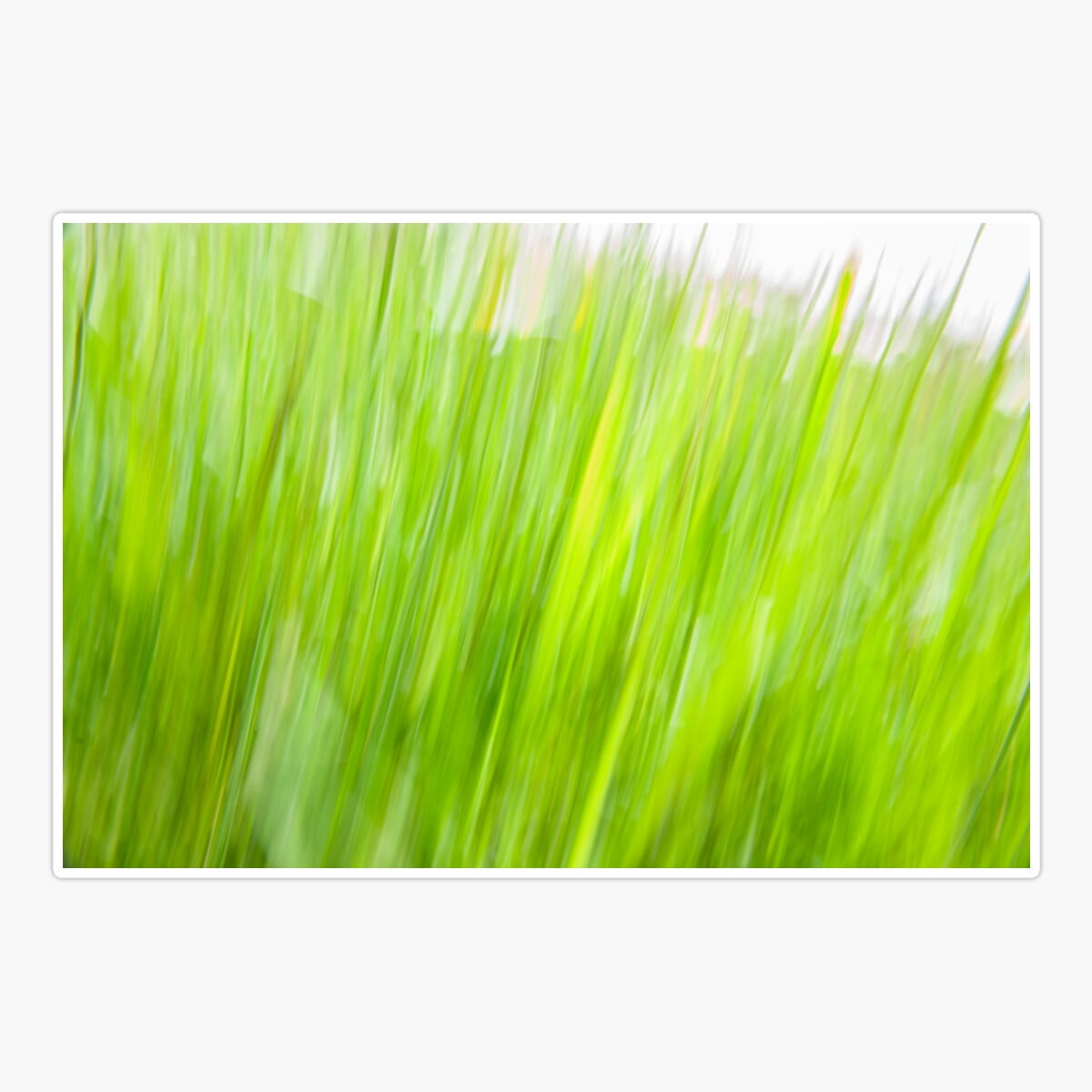 Onim Green Grass Sticker, Phone Decal Water Bottle Stickers Car Decals ...