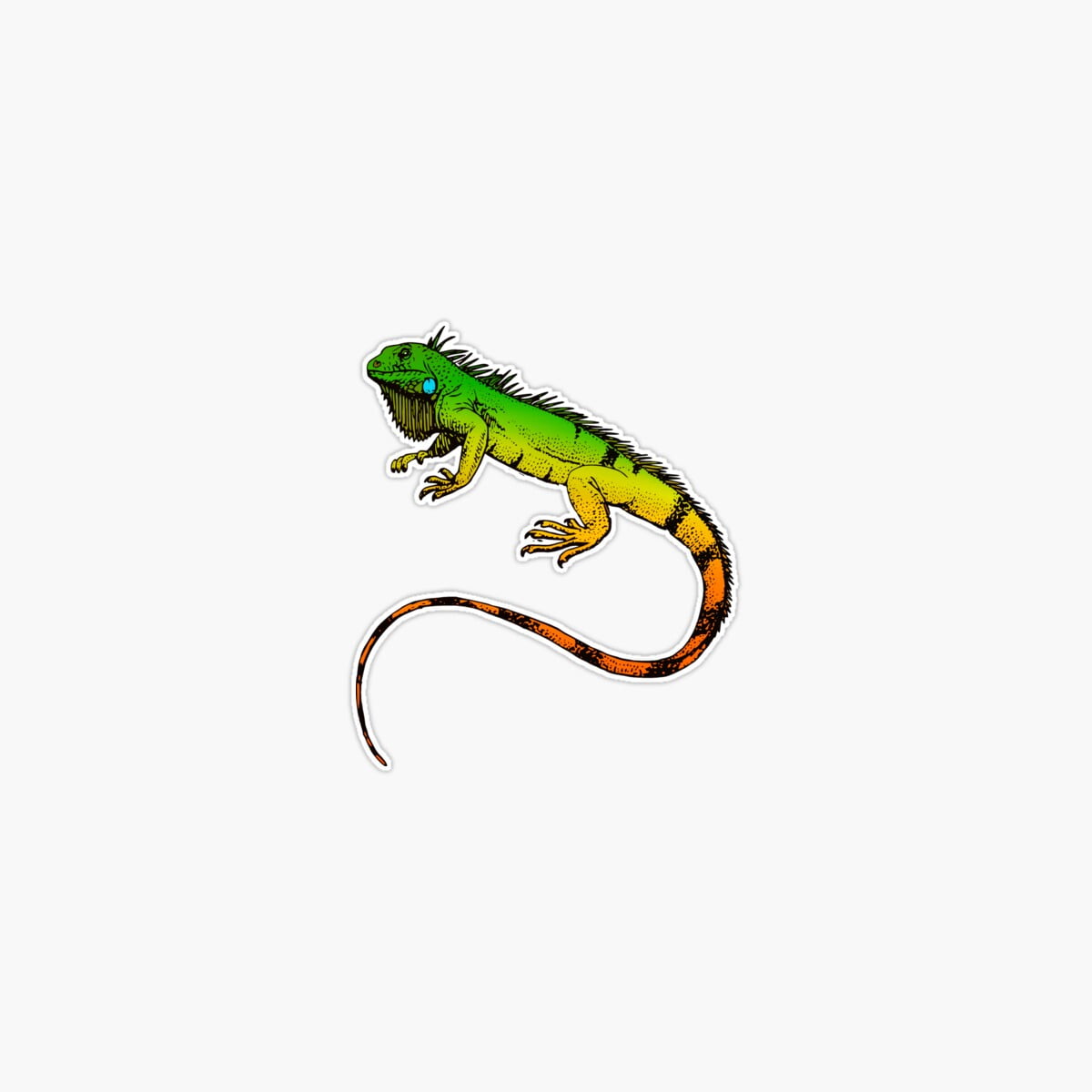 Onim Green Iguana Lizard Reptile Exotic Pets Animal Sticker, Phone ...