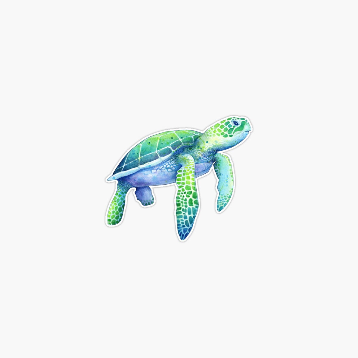 Onim Green Sea Turtle Sticker, Phone Decal Water Bottle Stickers Car ...