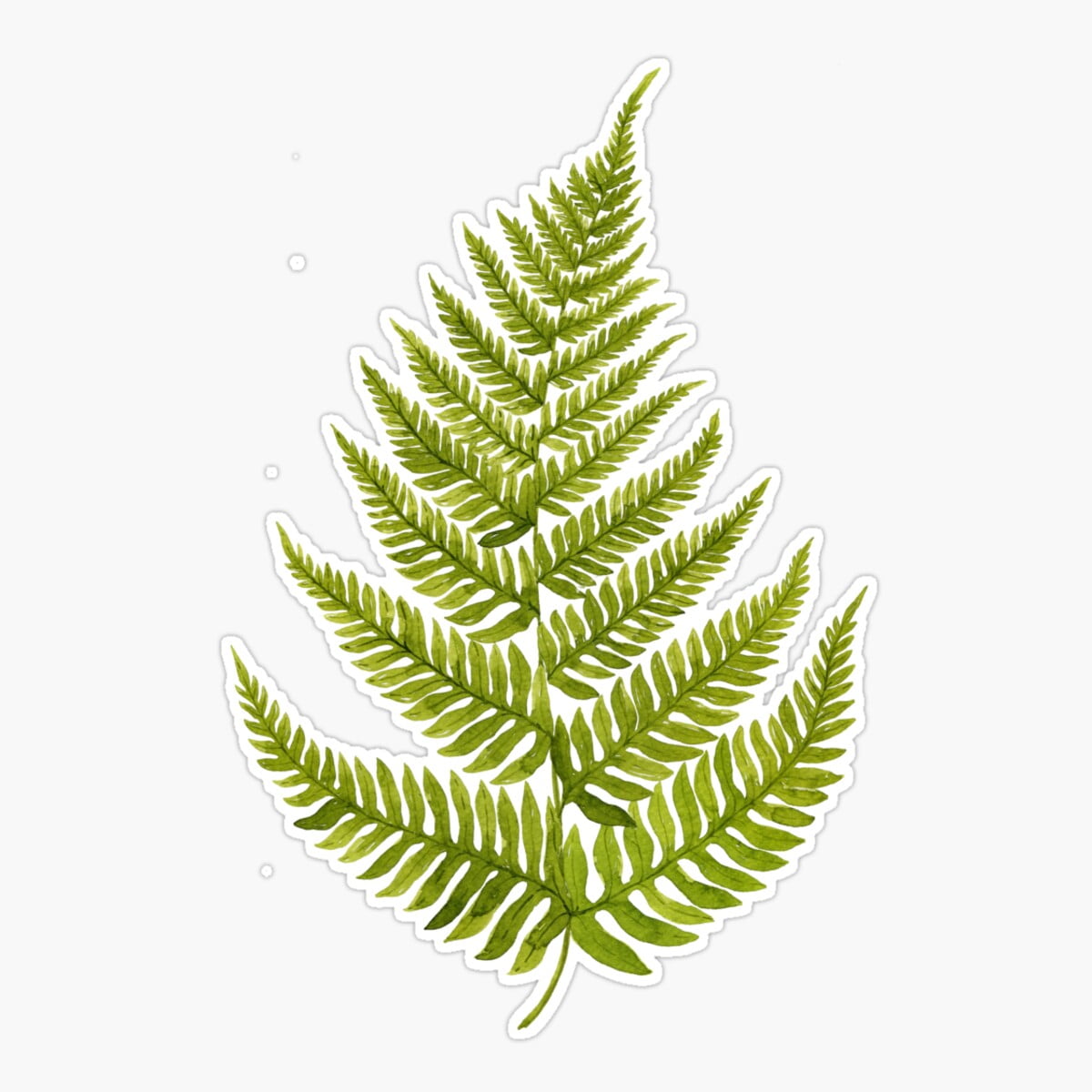 Onim Green Watercolor Fern Pattern Sticker, Phone Decal Water Bottle ...