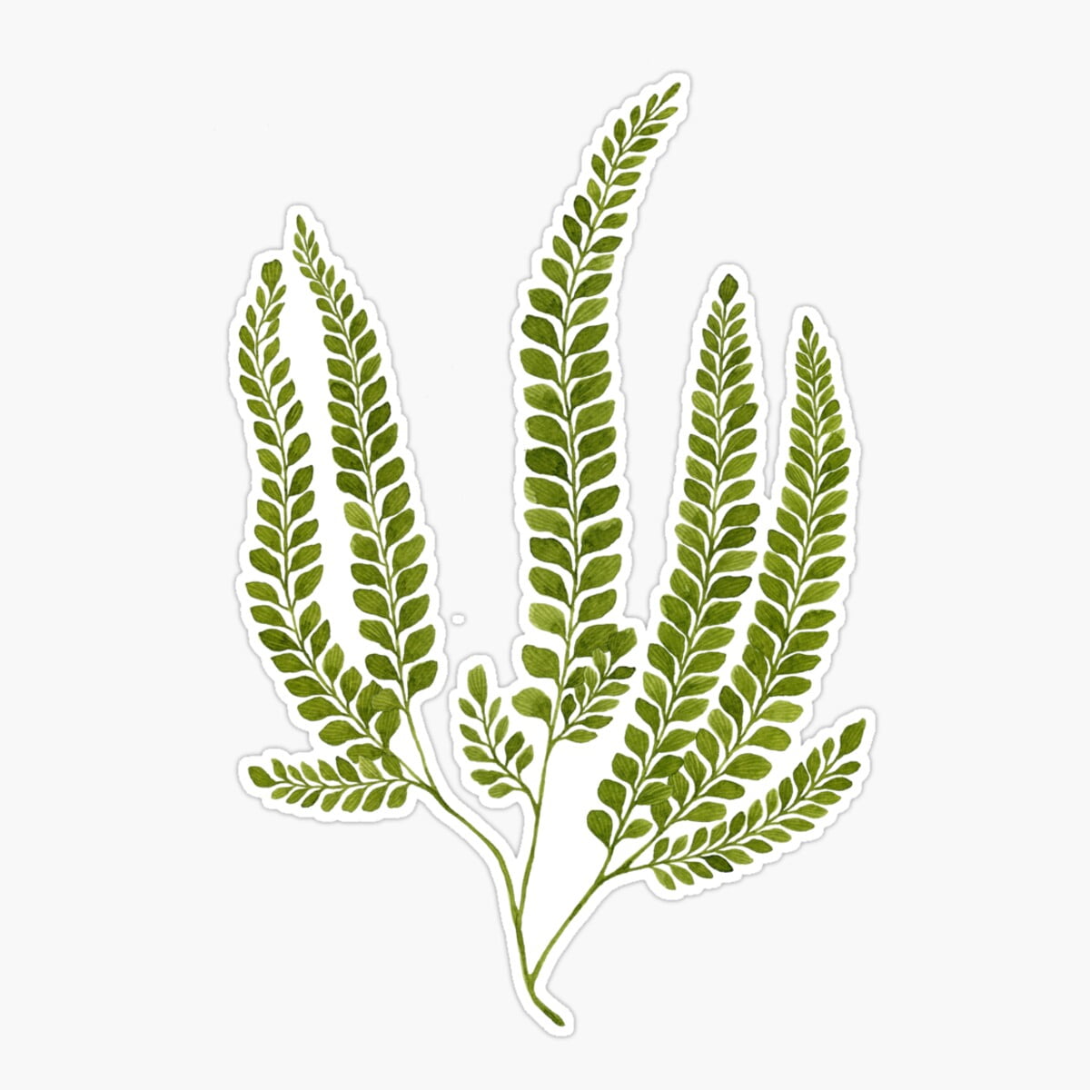 Onim Green Watercolor Fern Pattern Sticker, Phone Decal Water Bottle ...