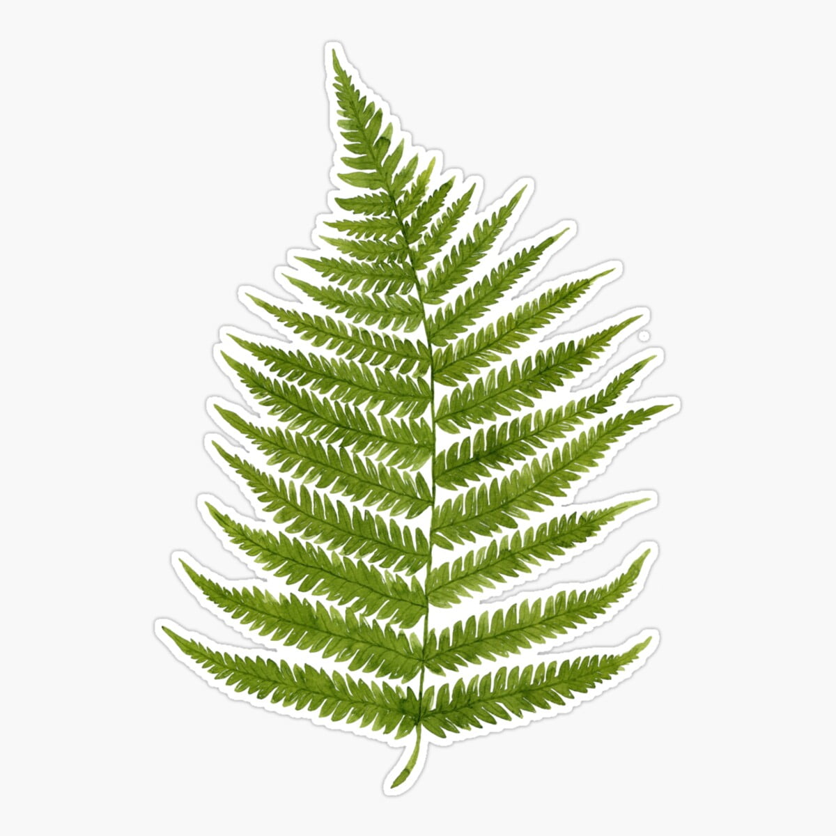 Onim Green Watercolor Fern Pattern Sticker, Phone Decal Water Bottle ...