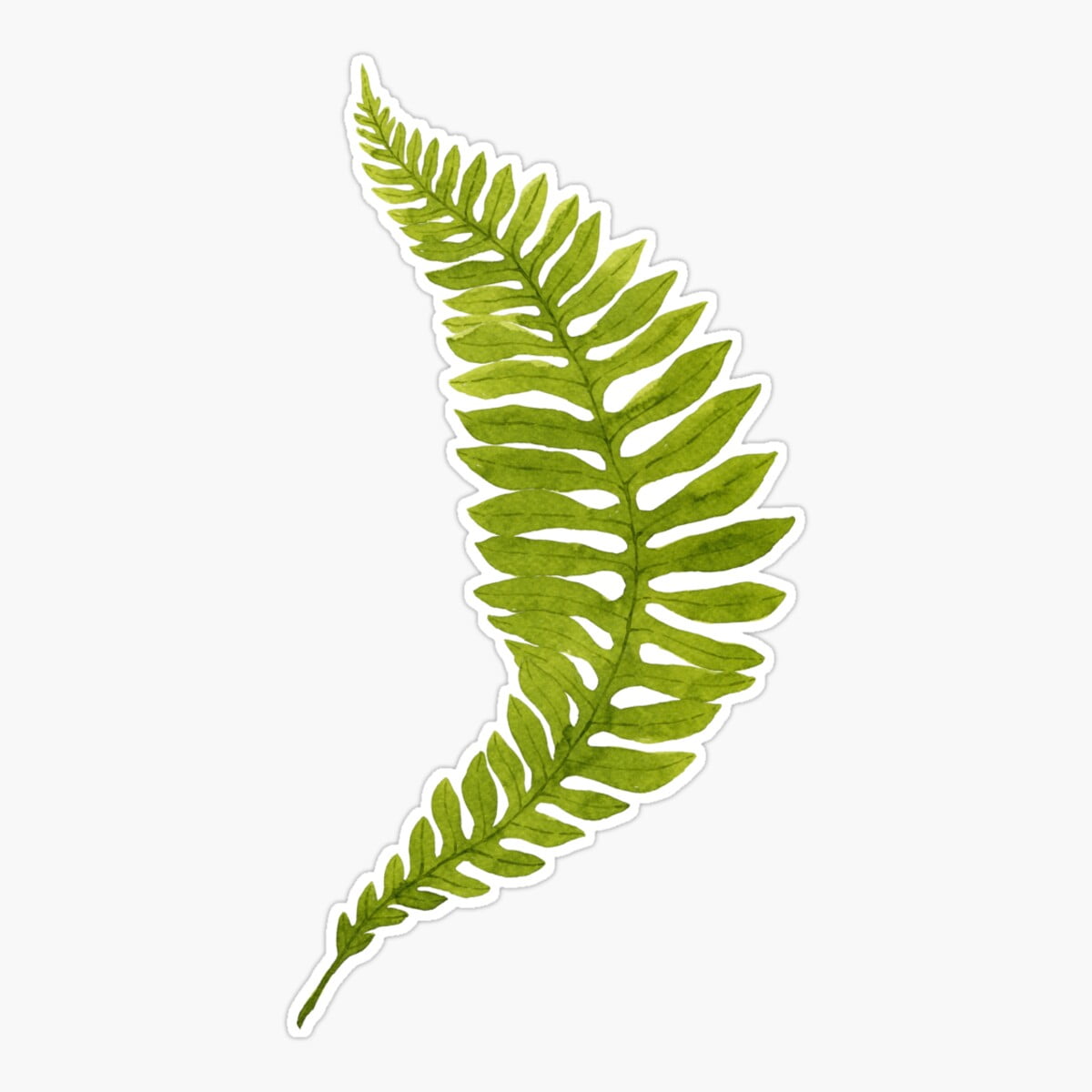 Onim Green Watercolor Fern Pattern Sticker, Phone Decal Water Bottle ...