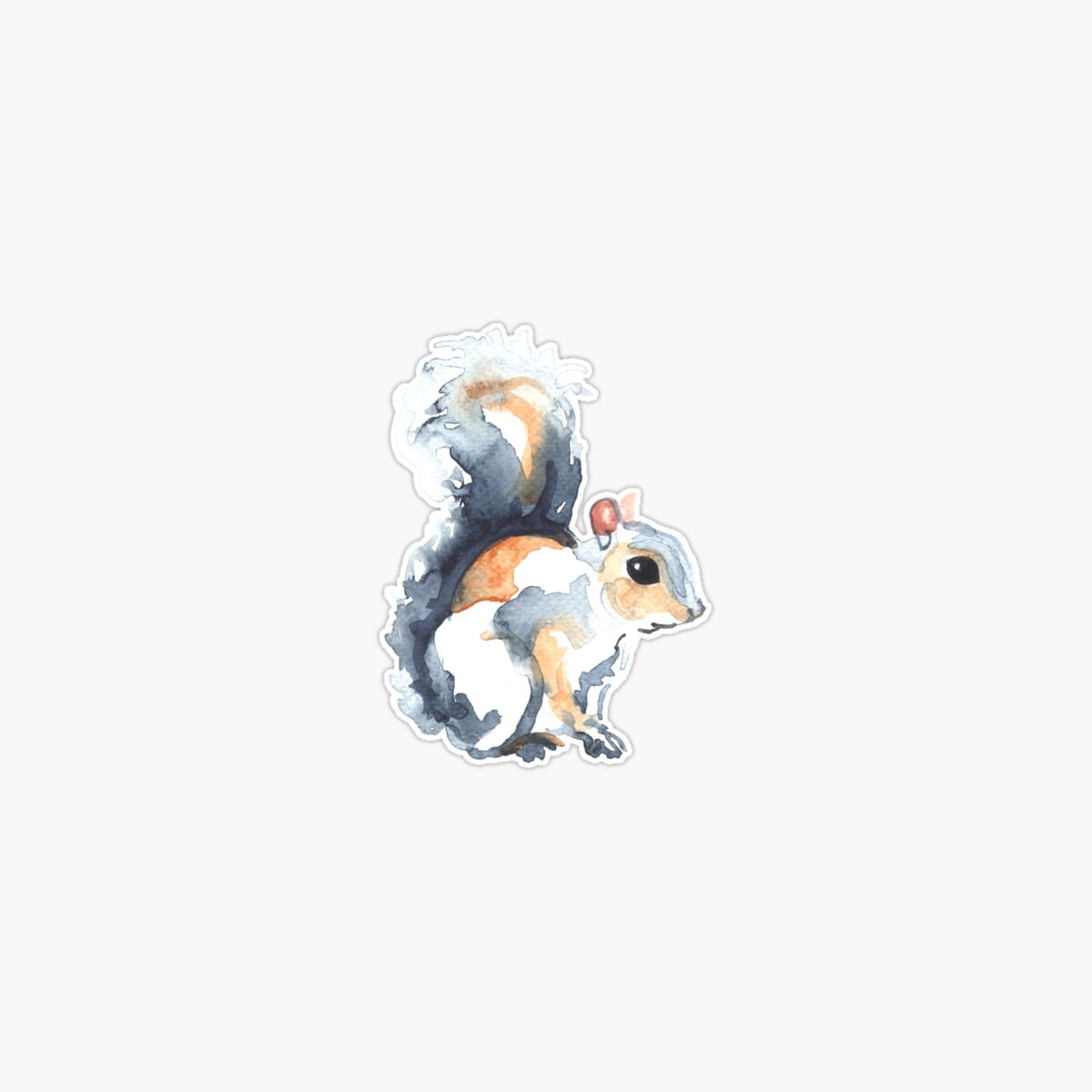 Onim Grey Squirrel Sticker, Phone Decal Water Bottle Stickers Car ...