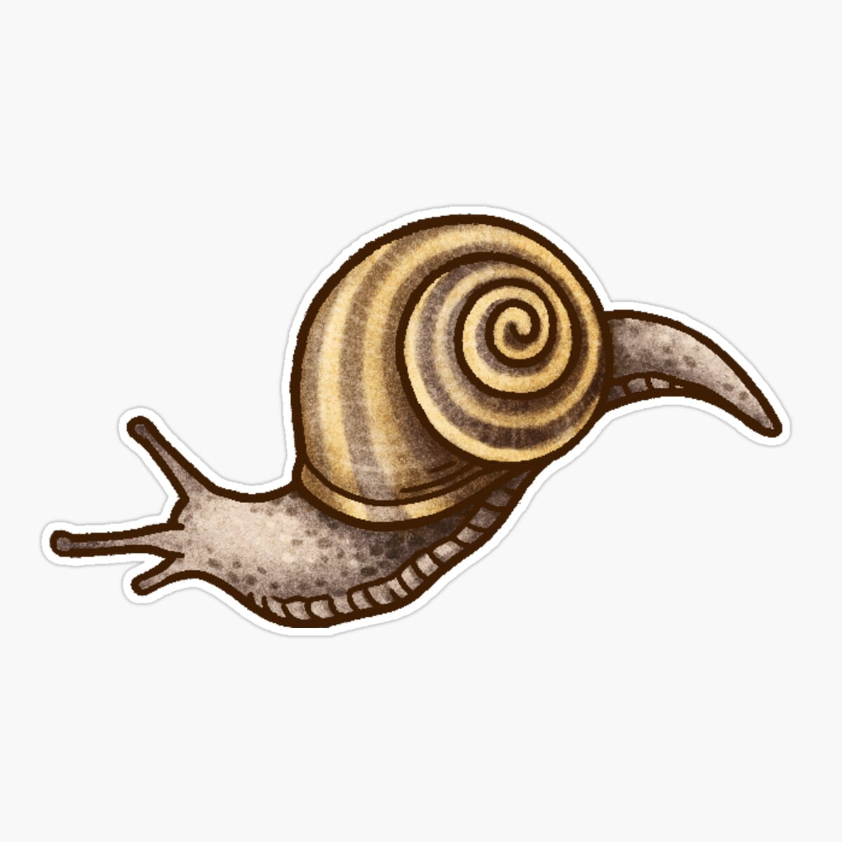 Onim Greyfriars Bobby Sticker, Phone Decal Water Bottle Stickers Car ...