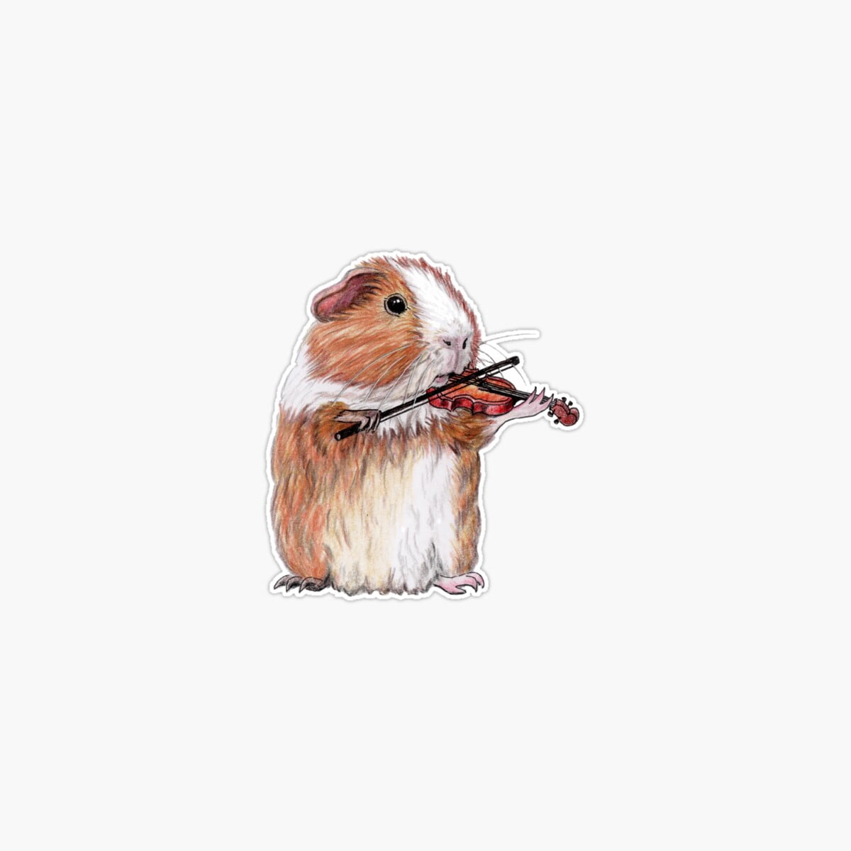 Onim Guinea Pig Violin Player Sticker, Phone Decal Water Bottle ...