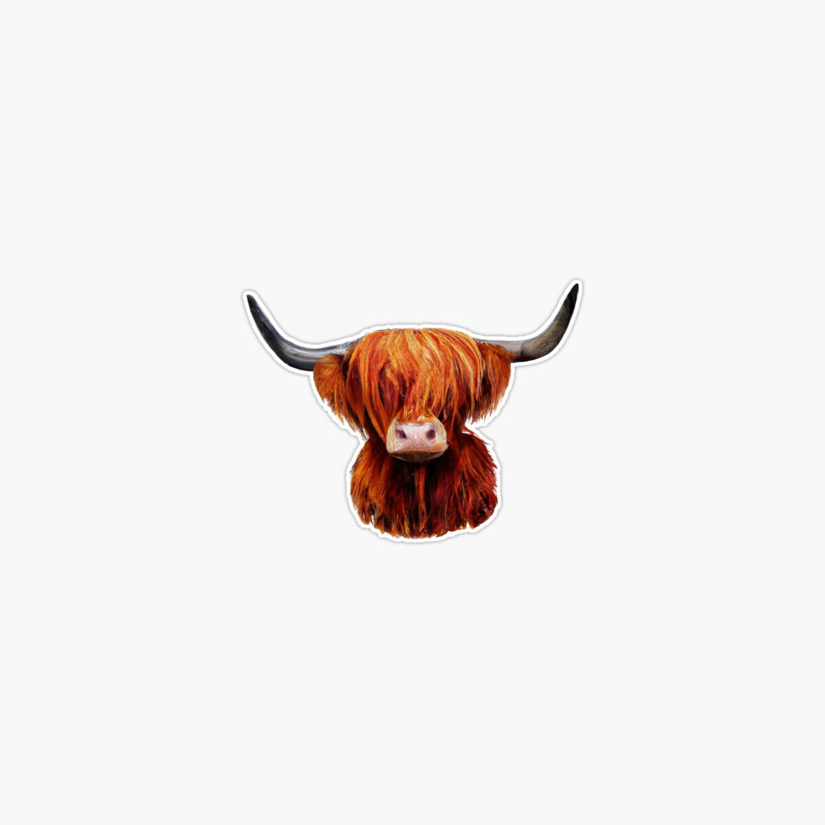 Onim Hairy Scottish Highland Cow Sticker, Phone Decal Water Bottle ...