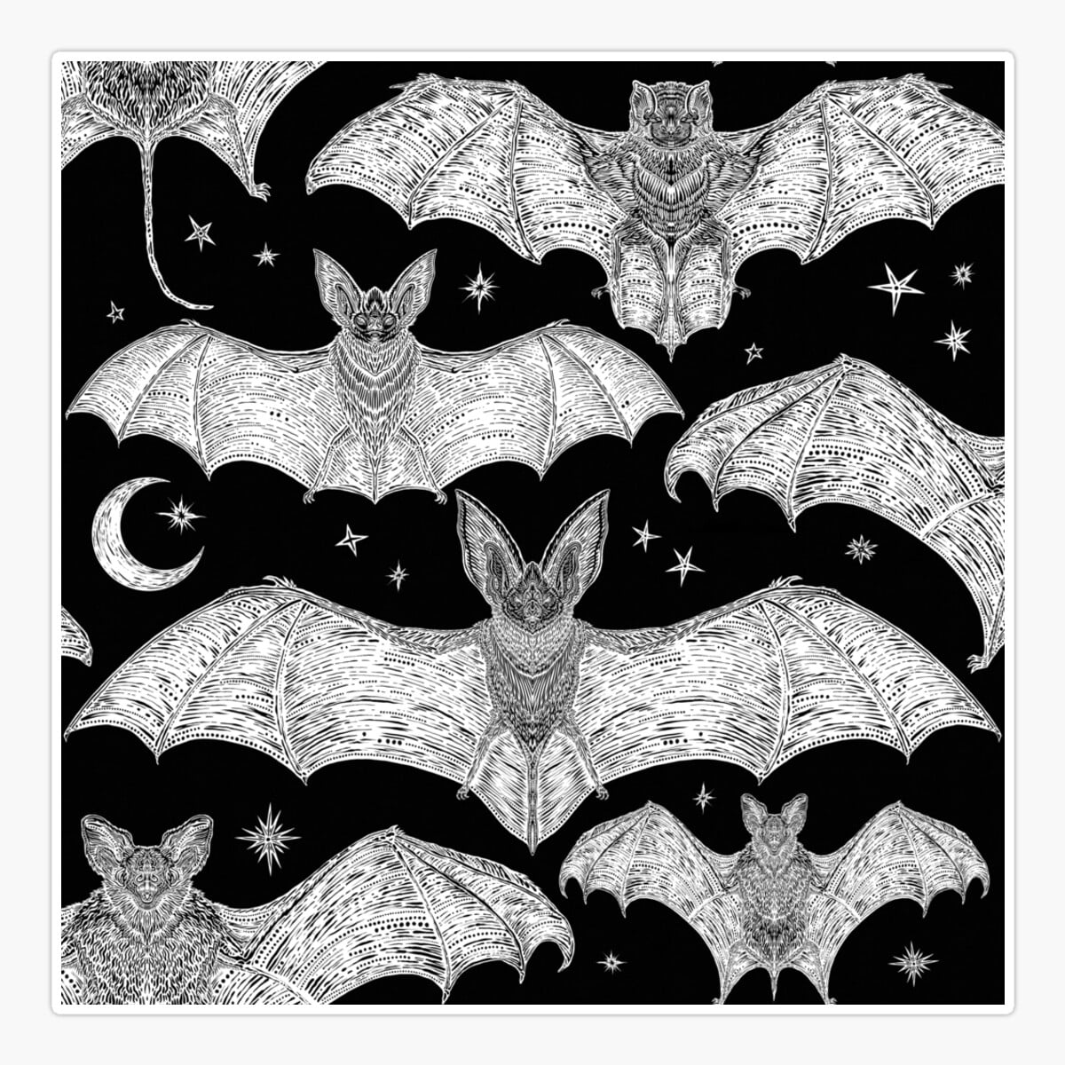 Onim Hand Drawn Bats - White On Black Sticker, Phone Decal Water Bottle ...