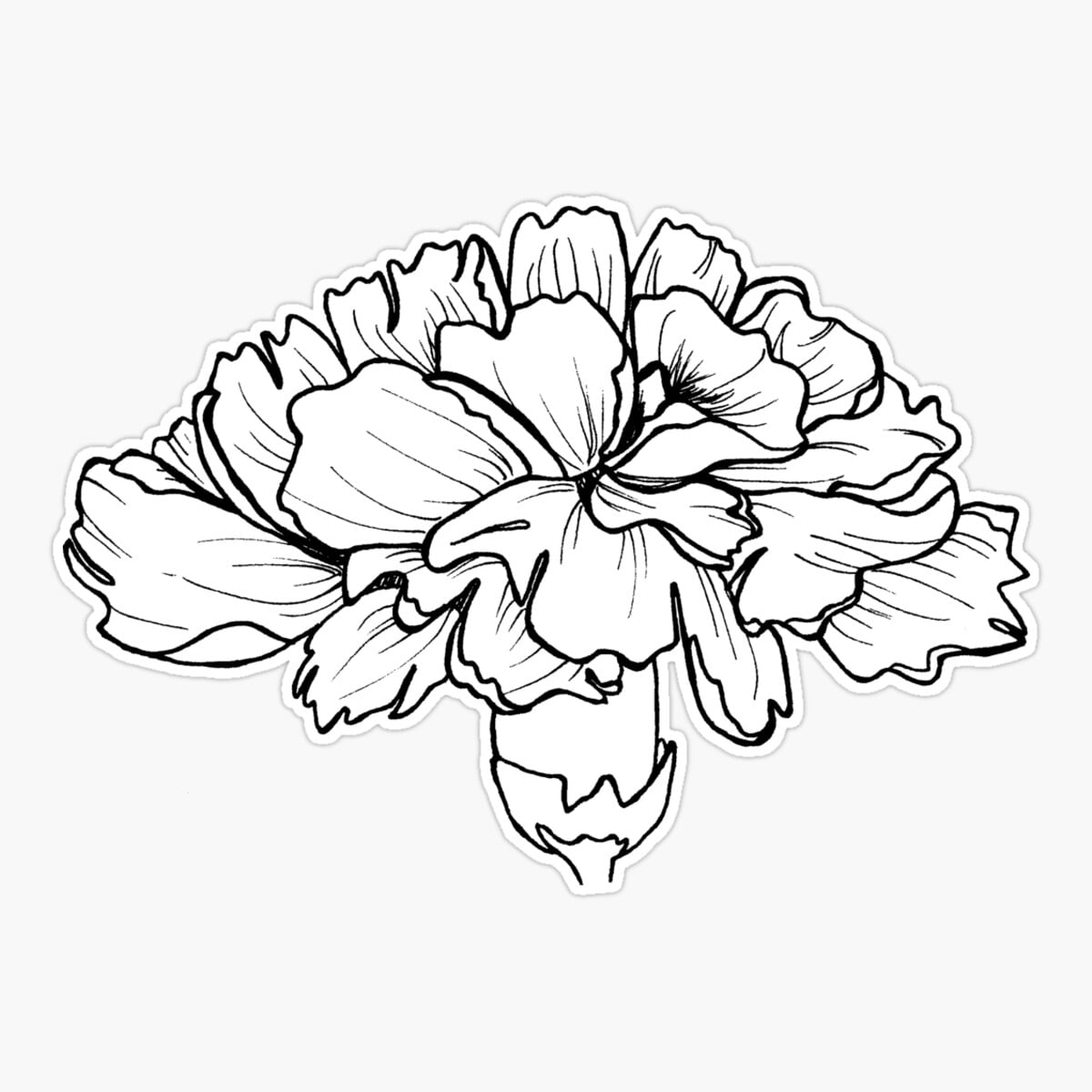 Onim Hand-Drawn Carnation Flower Sticker, Phone Decal Water Bottle ...
