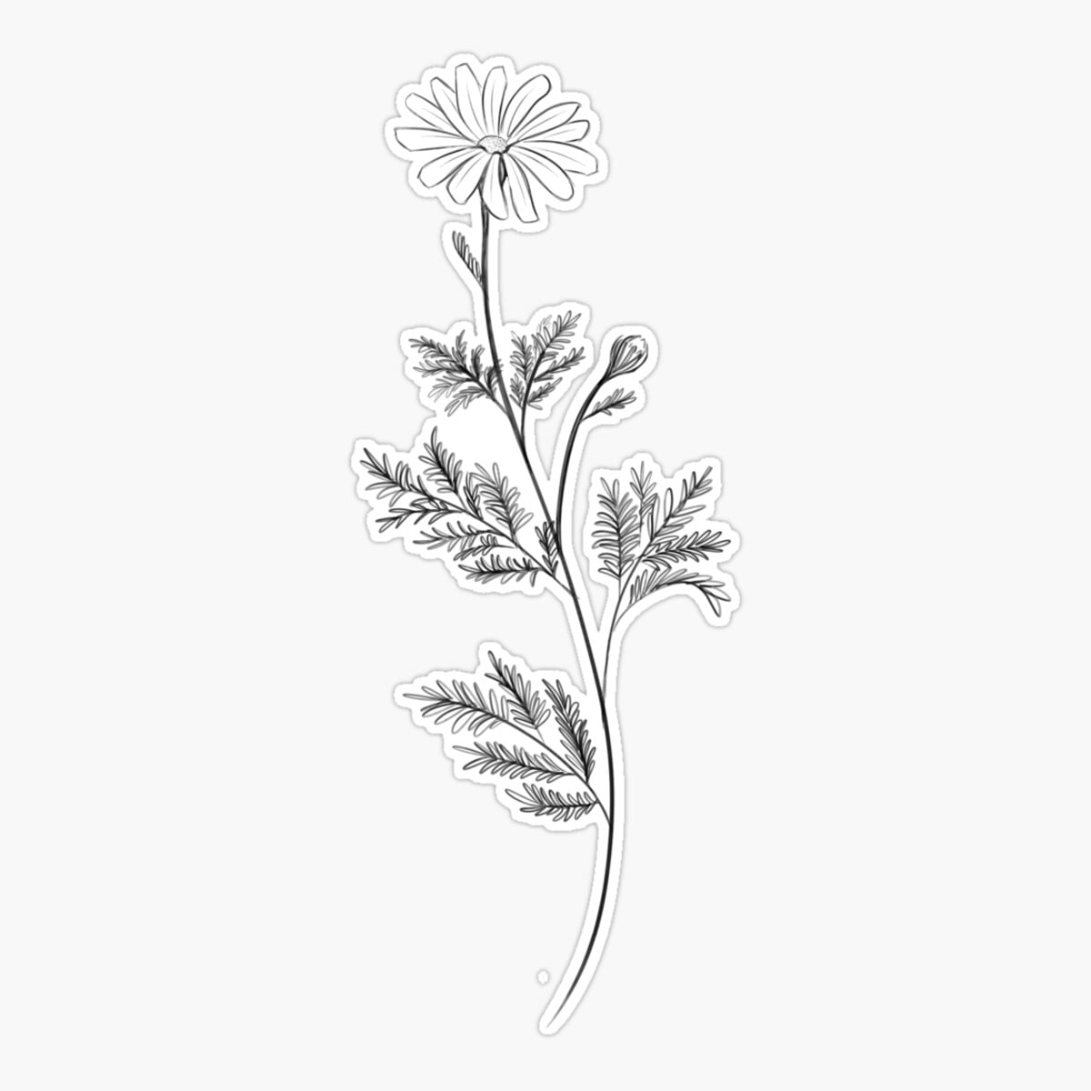 Onim Hand Drawn Chamomile Flower Sticker, Phone Decal Water Bottle ...