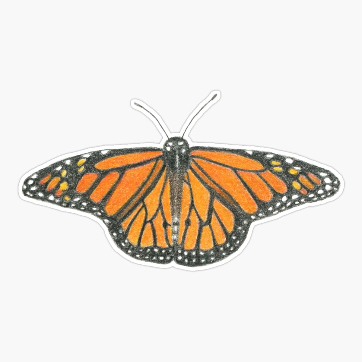 Onim Hand-Drawn Monarch Butterfly Sticker, Phone Decal Water Bottle ...