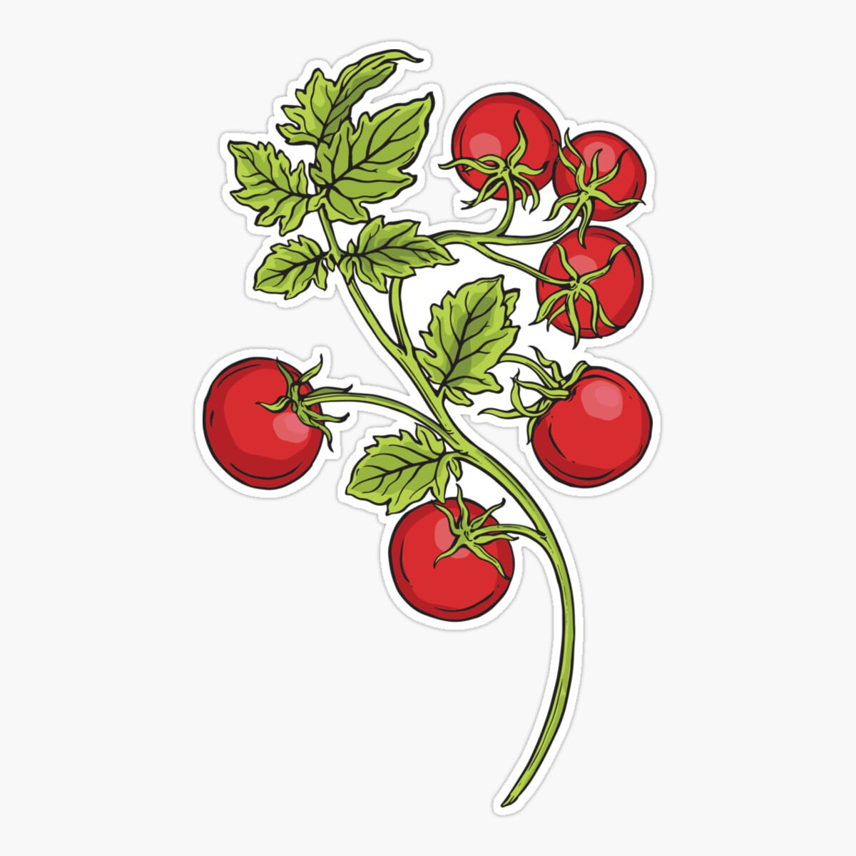 Onim Hand-Drawn Red Tomato Botanical Illustration Sticker, Phone Decal ...