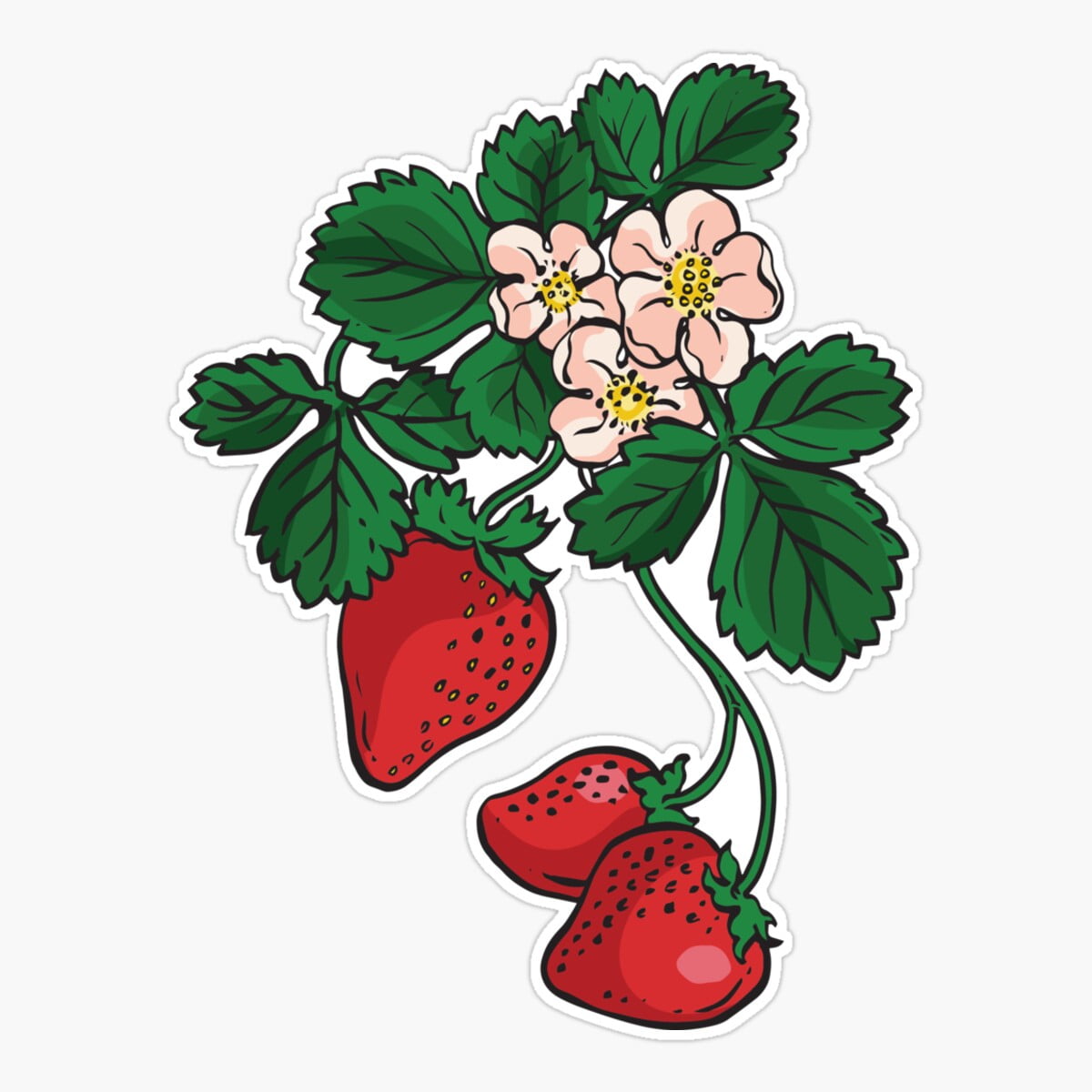 Onim Hand-Drawn Strawberry Botanical Illustration Sticker, Phone Decal ...