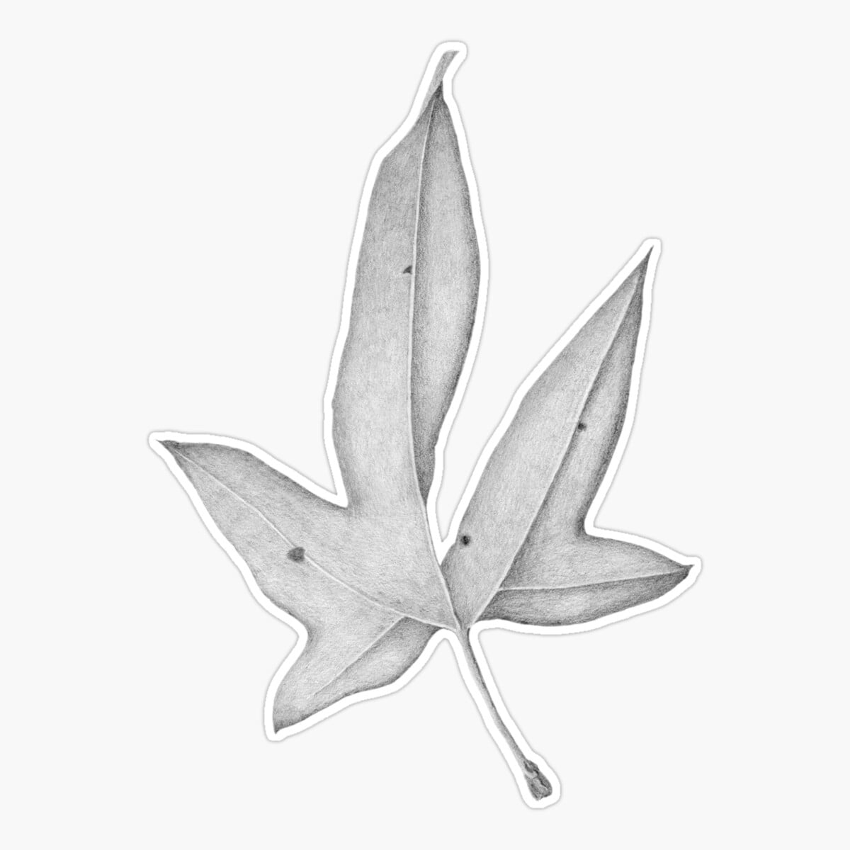 Onim Hand-Drawn Sycamore Leaf Sticker, Phone Decal Water Bottle ...