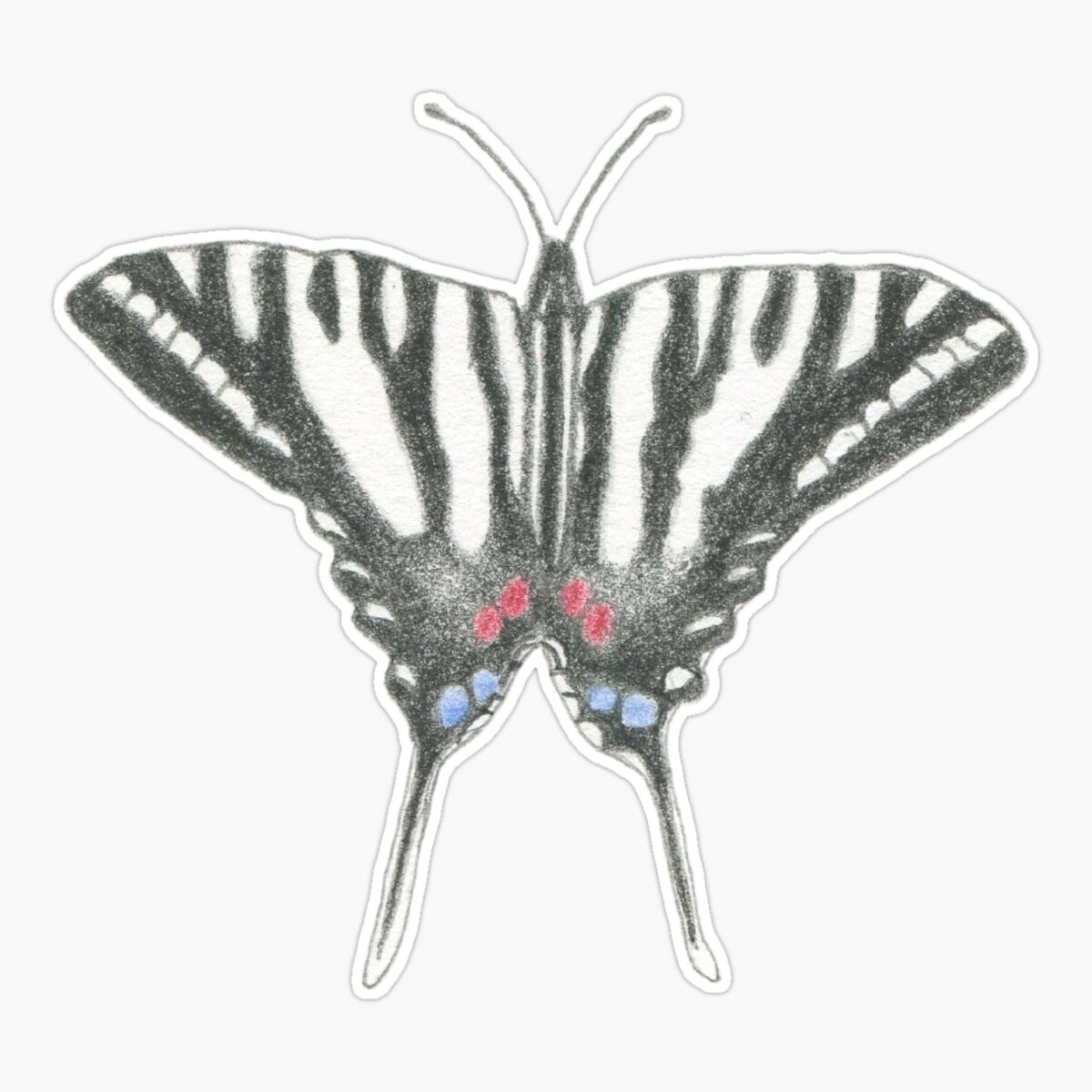 Onim Hand-Drawn Zebra Swallowtail Butterfly Sticker, Phone Decal Water ...