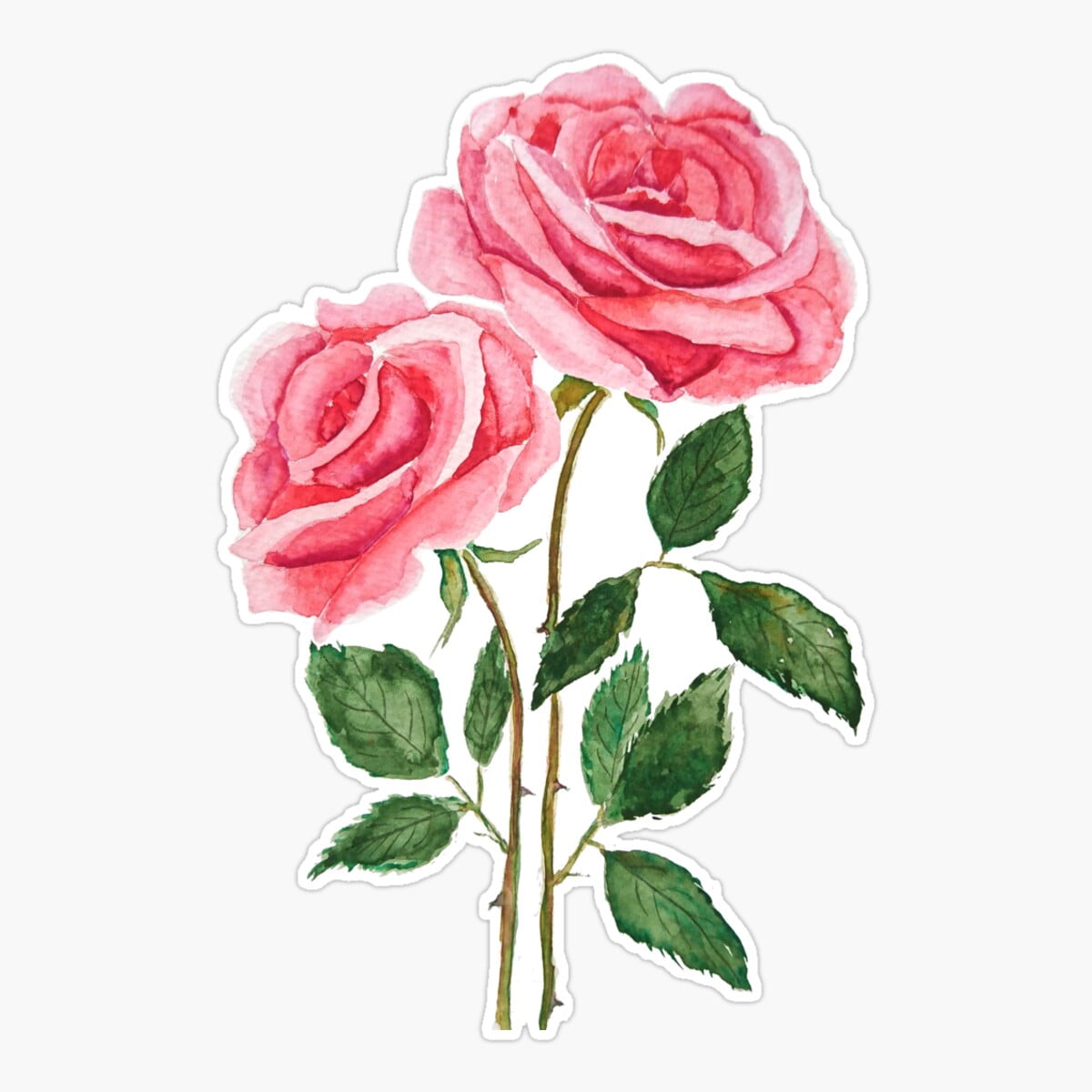 Onim Hand Painted 2 Pink Roses Watercolor Sticker, Phone Decal Water ...