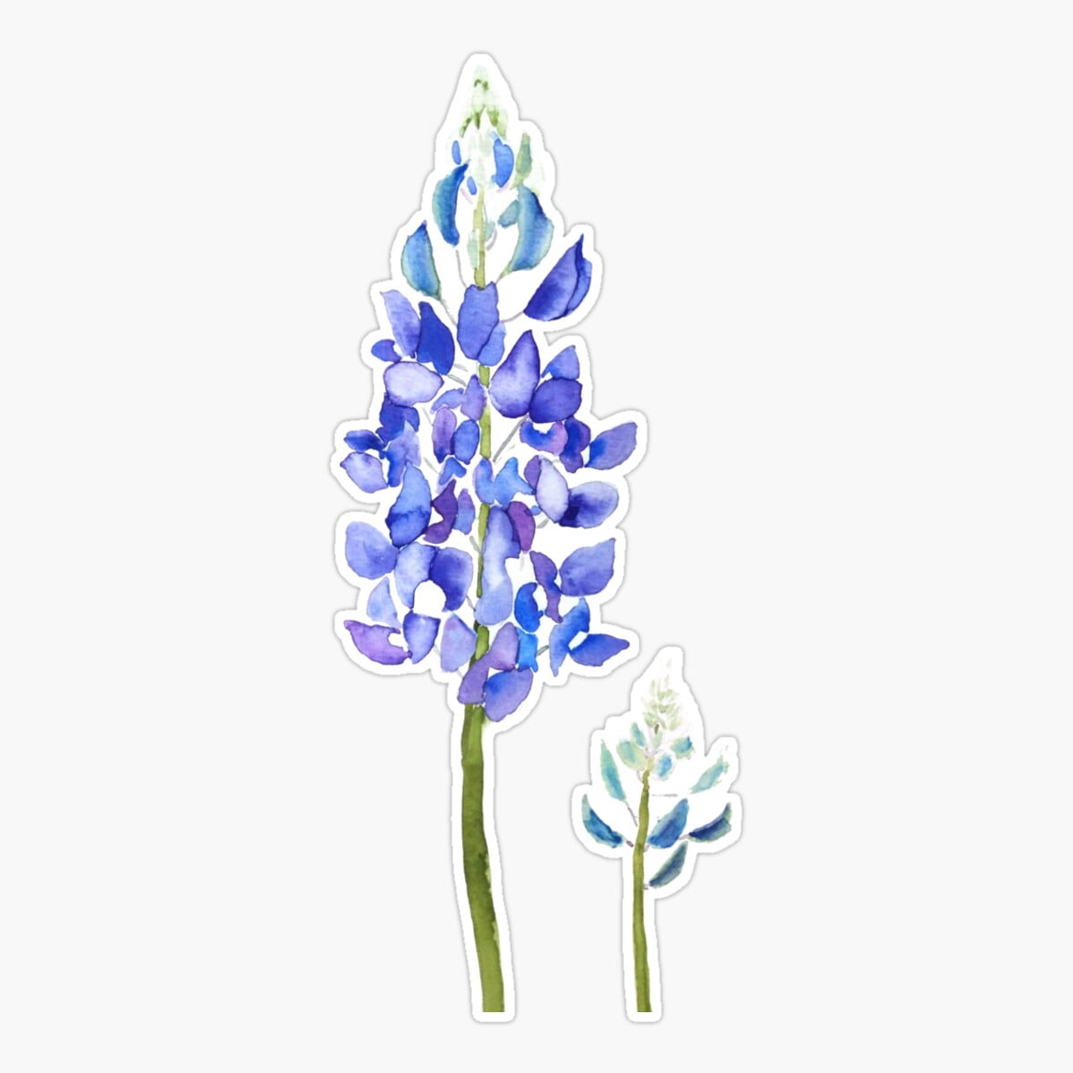 Onim Hand Painted 2 Purple And Blue Botanical Bluebonnet Watercolor ...