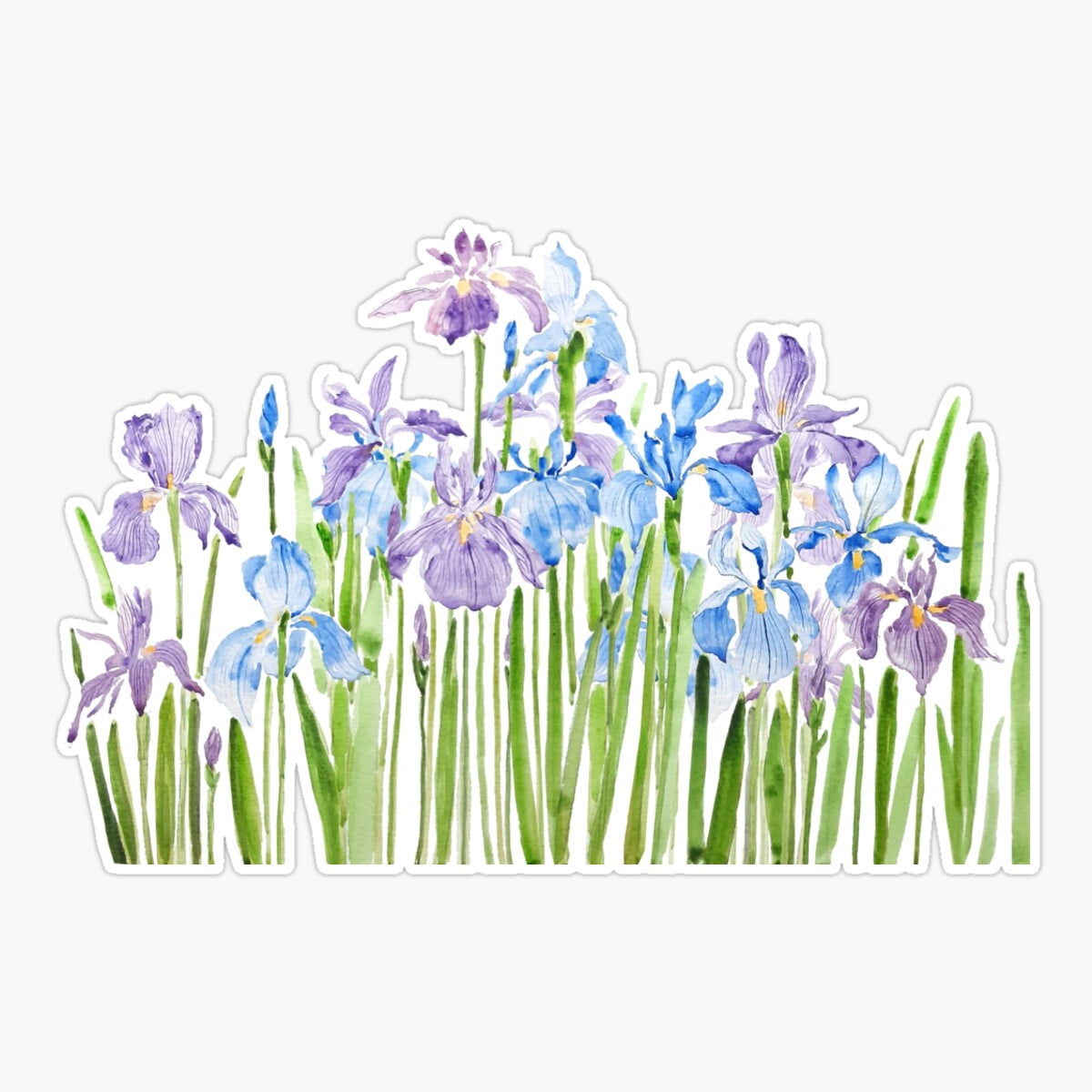 Onim Hand Painted Blue And Purple Iris Branch Watercolor Sticker, Phone ...