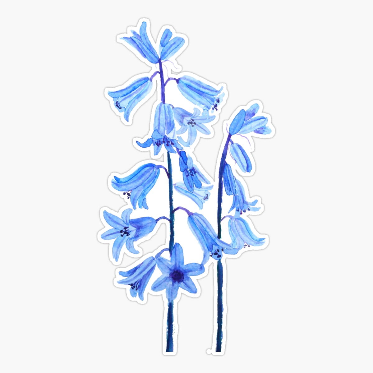 Onim Hand Painted Botanical Bluebells Flower Watercolor Sticker, Phone ...