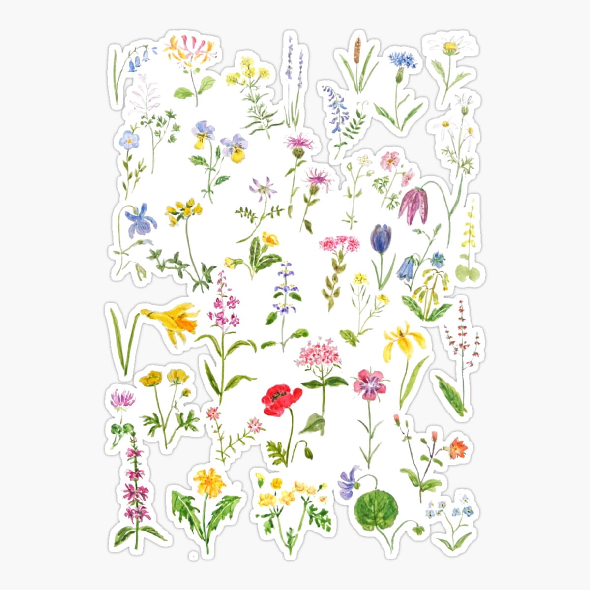Onim Hand Painted Botanical Colorful Countryside Wildflowers Watercolor ...