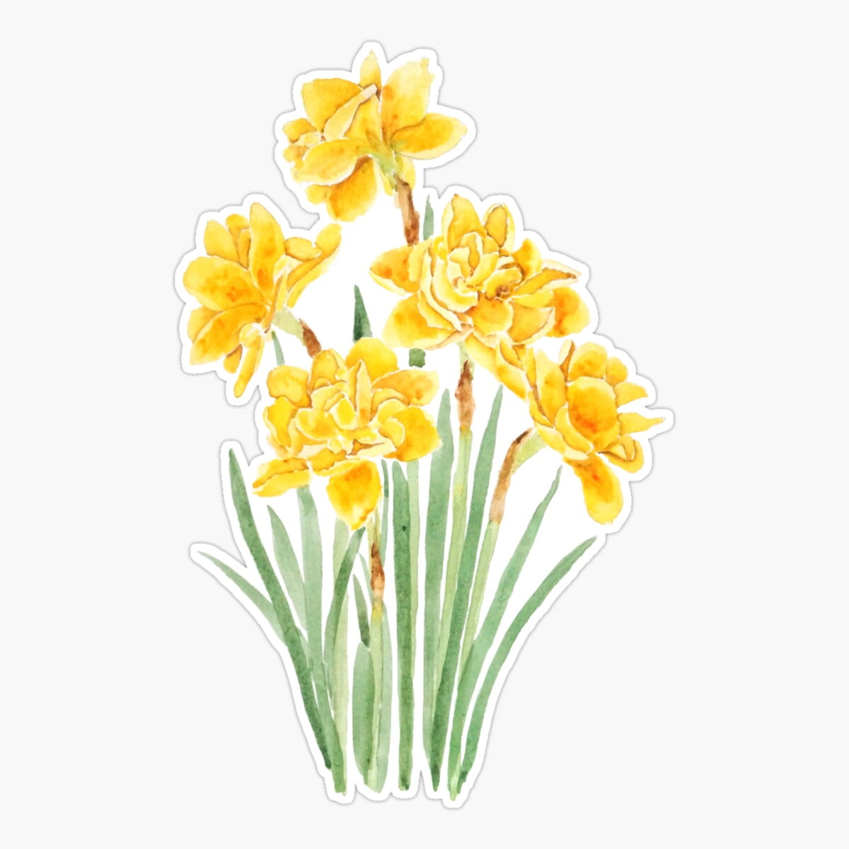 Onim Hand Painted Golden Daffodils Flowers With Leaf Watercolor Sticker ...