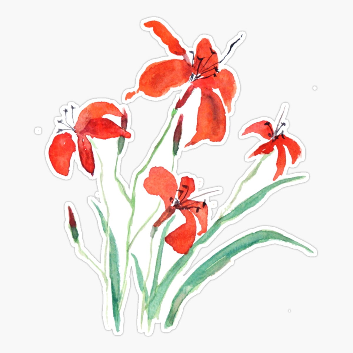 Onim Hand Painted Orange Day Lily Sticker, Phone Decal Water Bottle ...