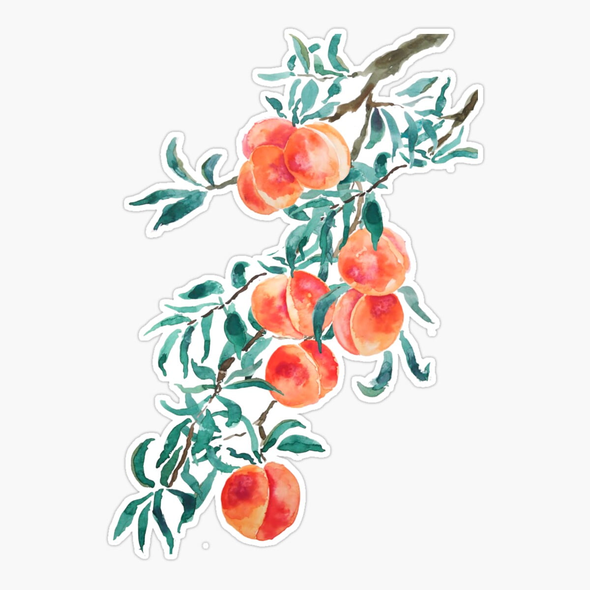 Onim Hand Painted Pink Peach Watercolor Sticker, Phone Decal Water ...