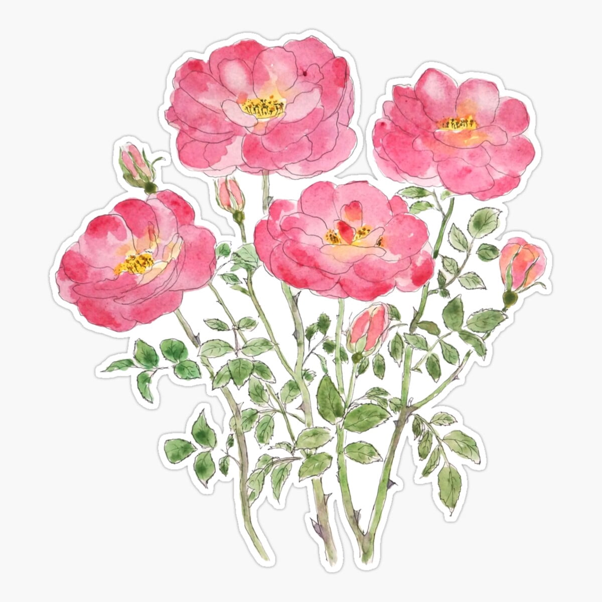Onim Hand Painted Pink Rose Flower Watercolor Sticker, Phone Decal ...