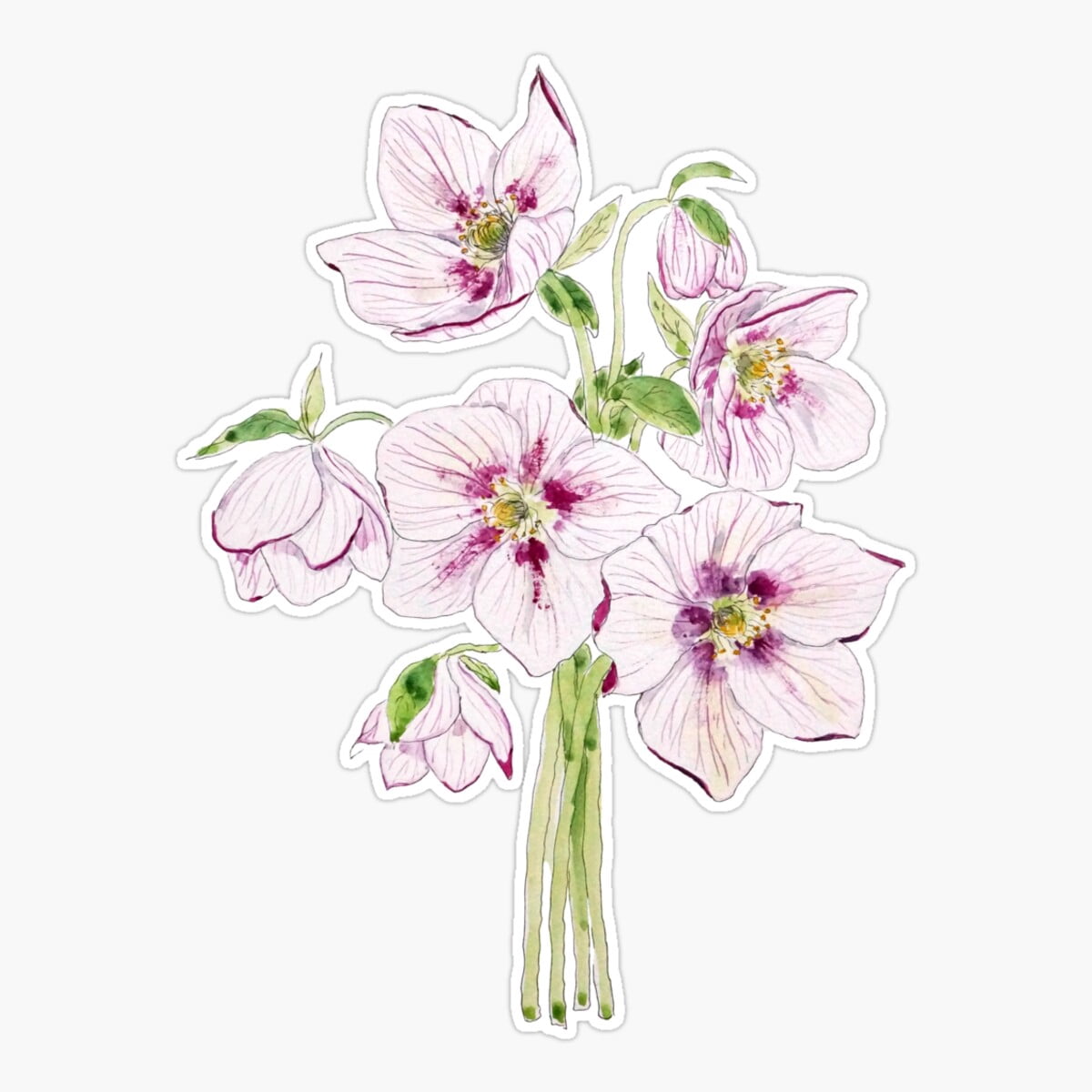 Onim Hand Painted Purple Hellebores Flower Watercolor Sticker, Phone ...