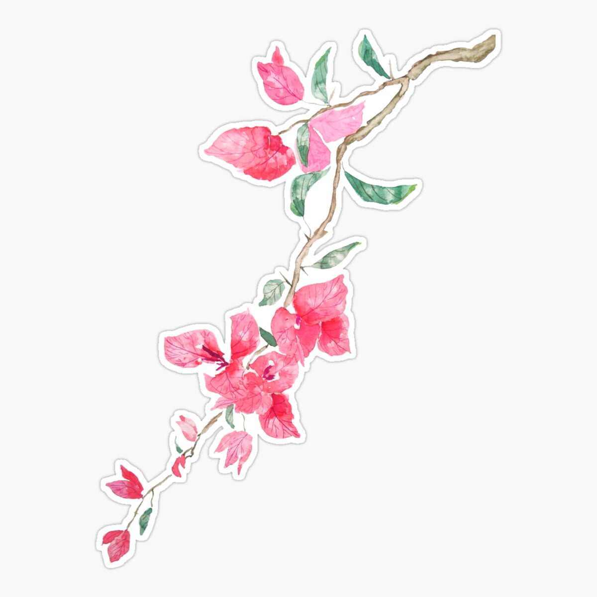 Onim Hand Painted Reddish Pink Bougainvillea Flower Watercolor Sticker ...