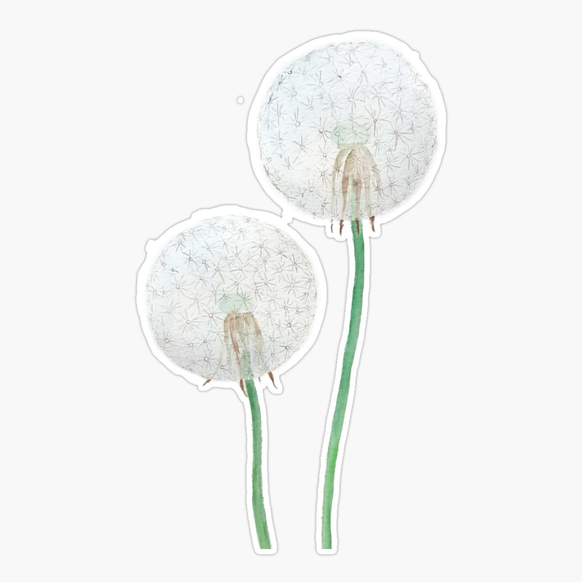 Onim Hand Painted Two White Dandelion Watercolor Sticker, Phone Decal ...