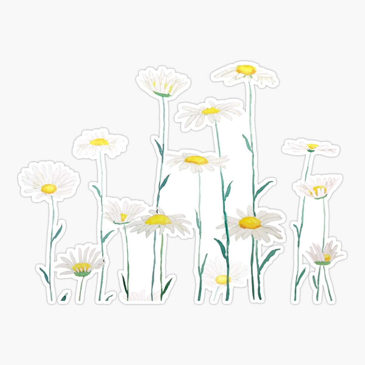 Onim Hand Painted White Daisy Branch Watercolor Horizontal Sticker ...