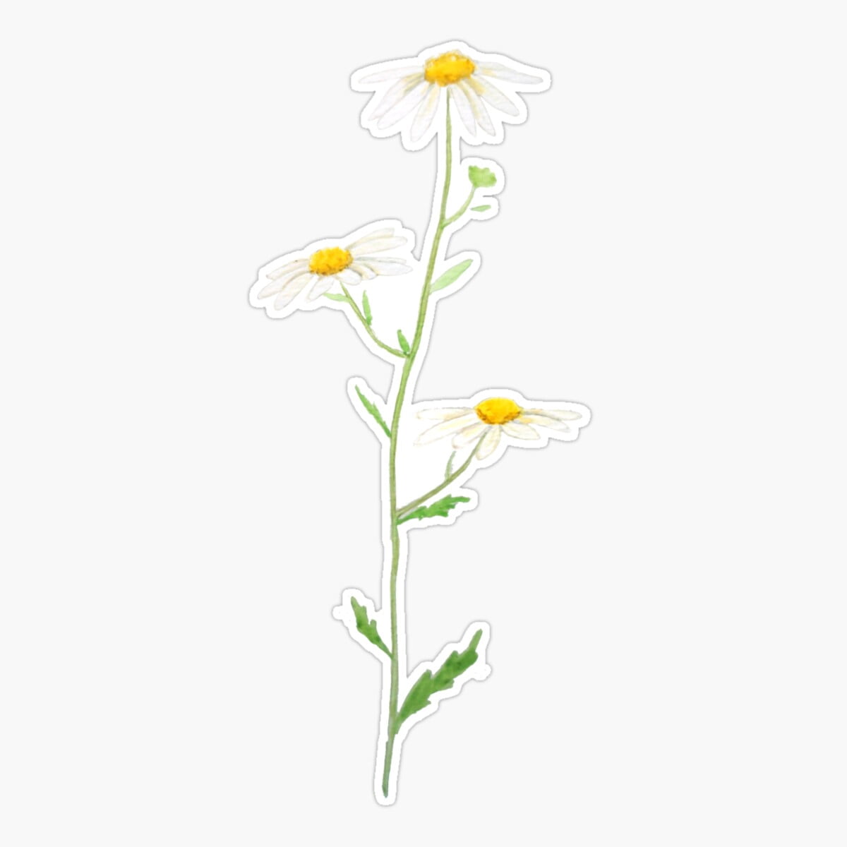 Onim Hand Painted White Daisy Watercolor 2020 Sticker, Phone Decal ...