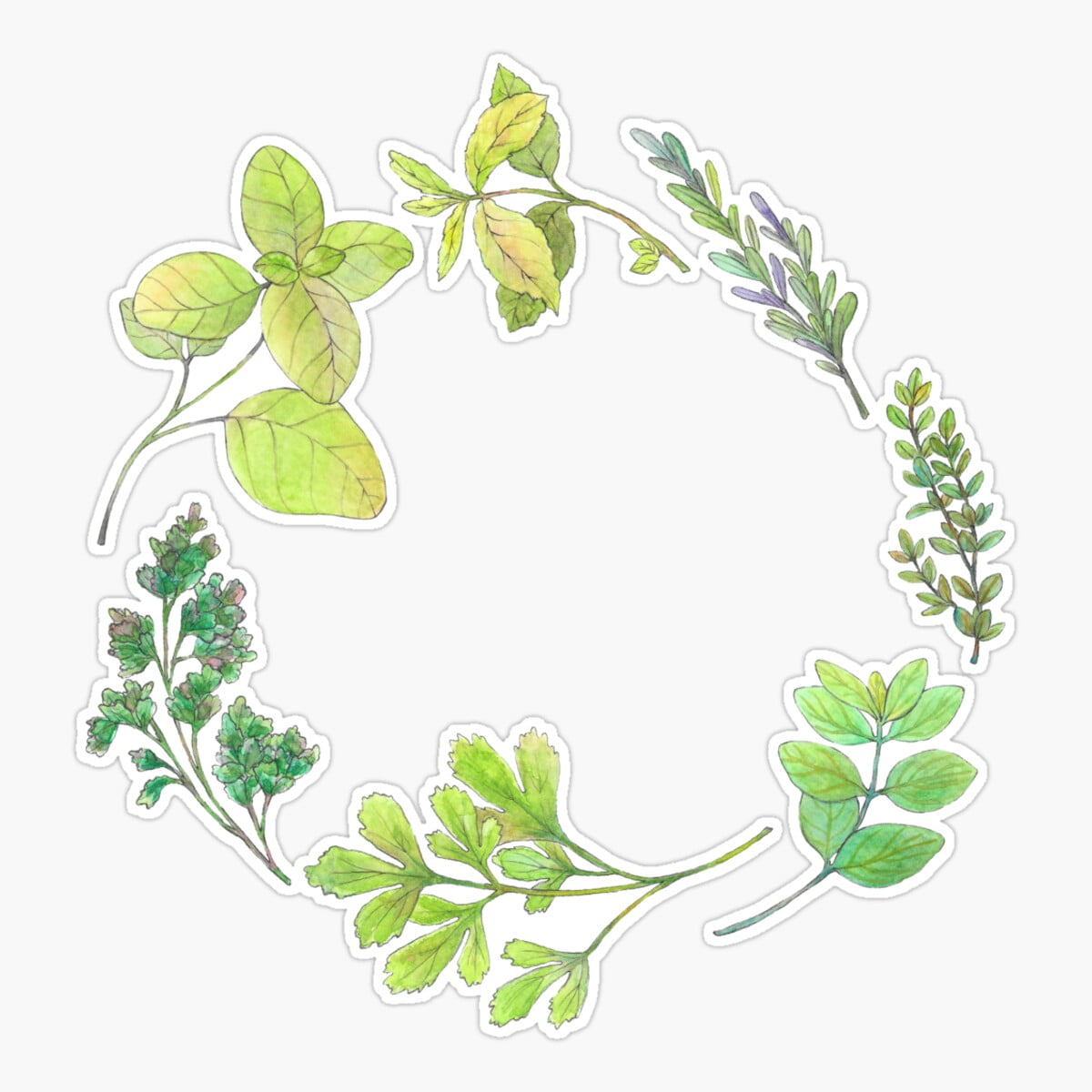 Onim Herb Garden Sticker, Phone Decal Water Bottle Stickers Car Decals ...