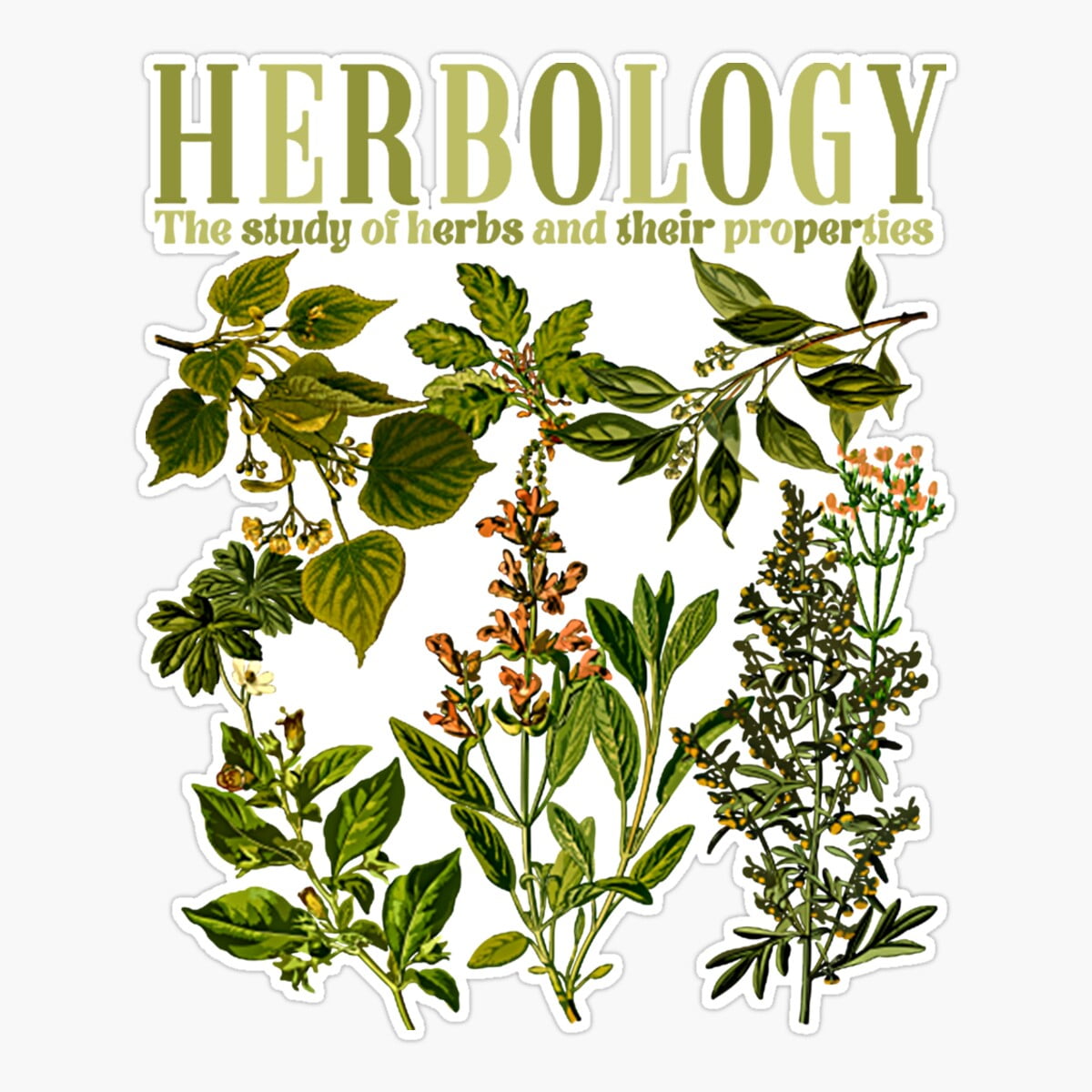 Onim Herbology - Vintage Kinds Of Herbs T-Shirt Sticker, Phone Decal ...