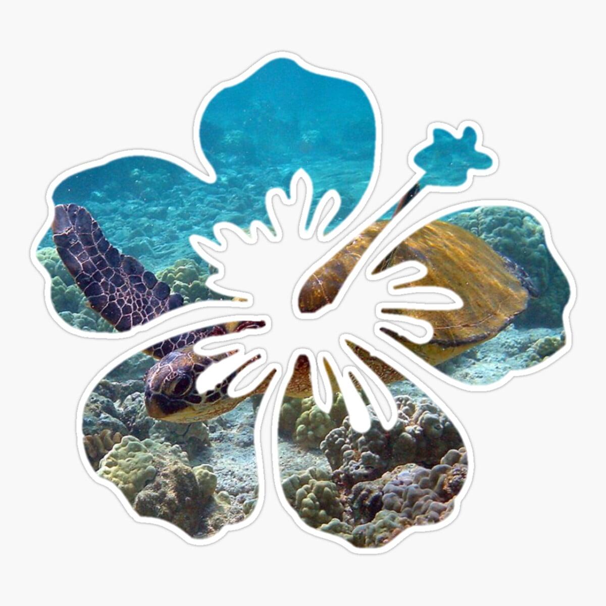 Onim Hibiscus Sticker, Phone Decal Water Bottle Stickers Car Decals ...