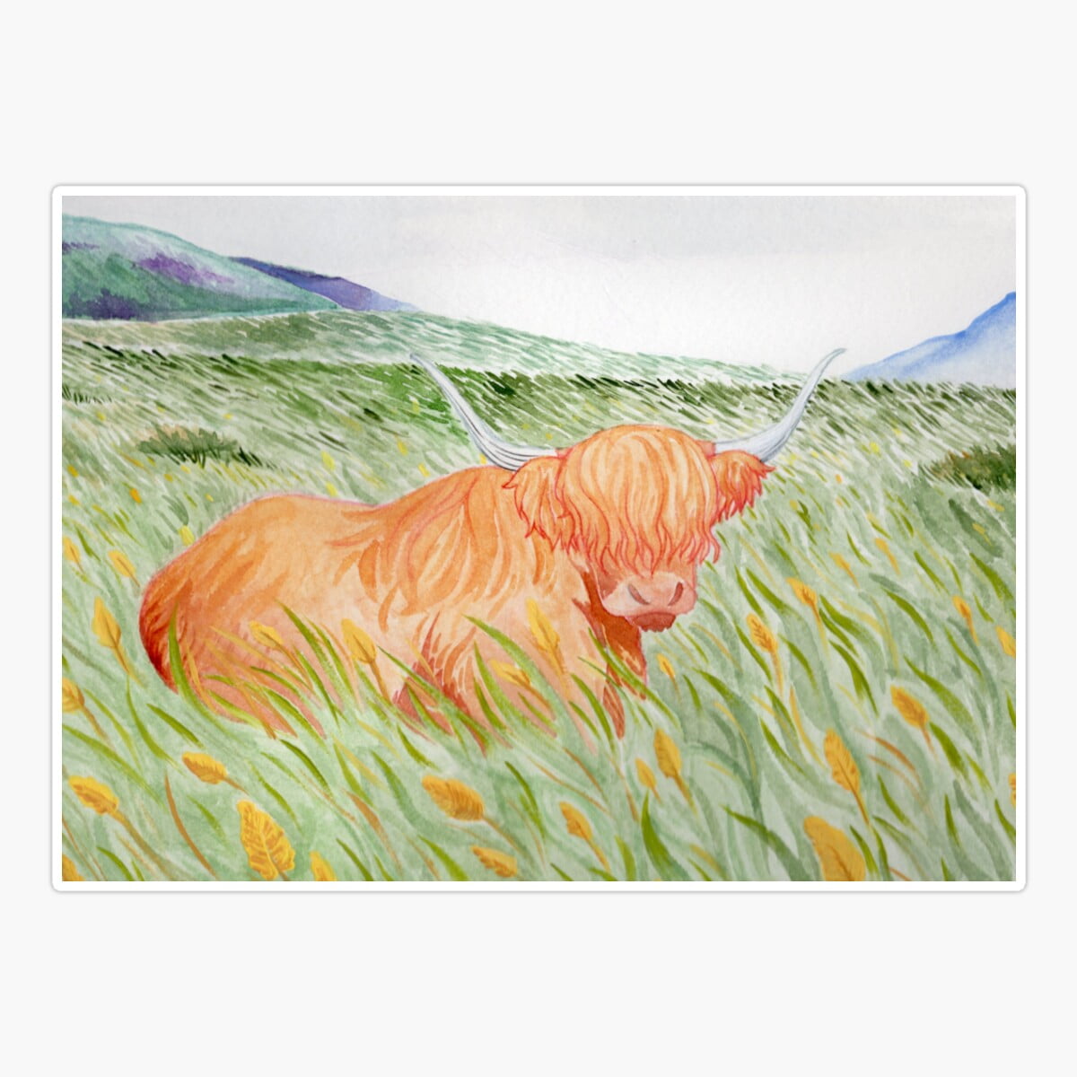 Onim Highland Cow Sticker, Phone Decal Water Bottle Stickers Car Decals ...