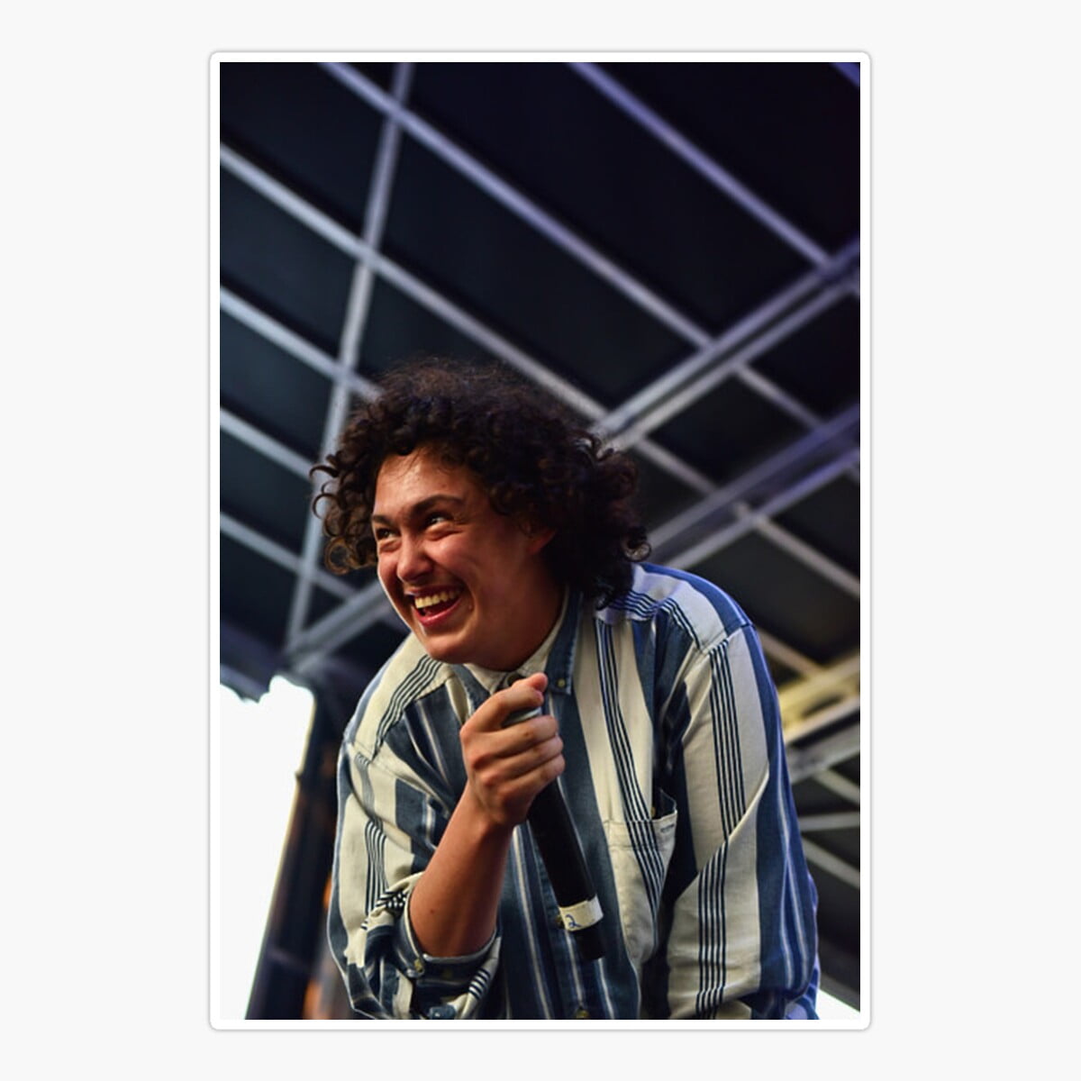 Onim Hobo Johnson Sticker, Phone Decal Water Bottle Stickers Car Decals ...