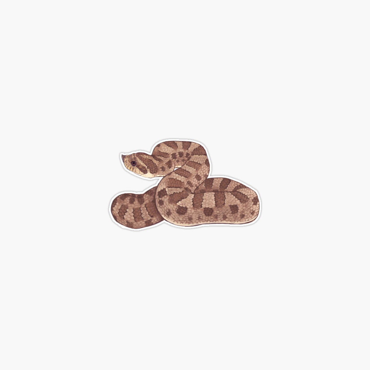 Onim Hognose Snake Sticker - Walmart.com
