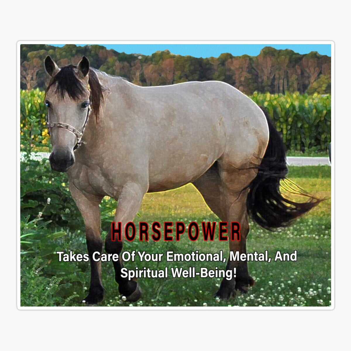 Onim Horsepower - The Spiritual Well-Being Sticker, Phone Decal Water ...