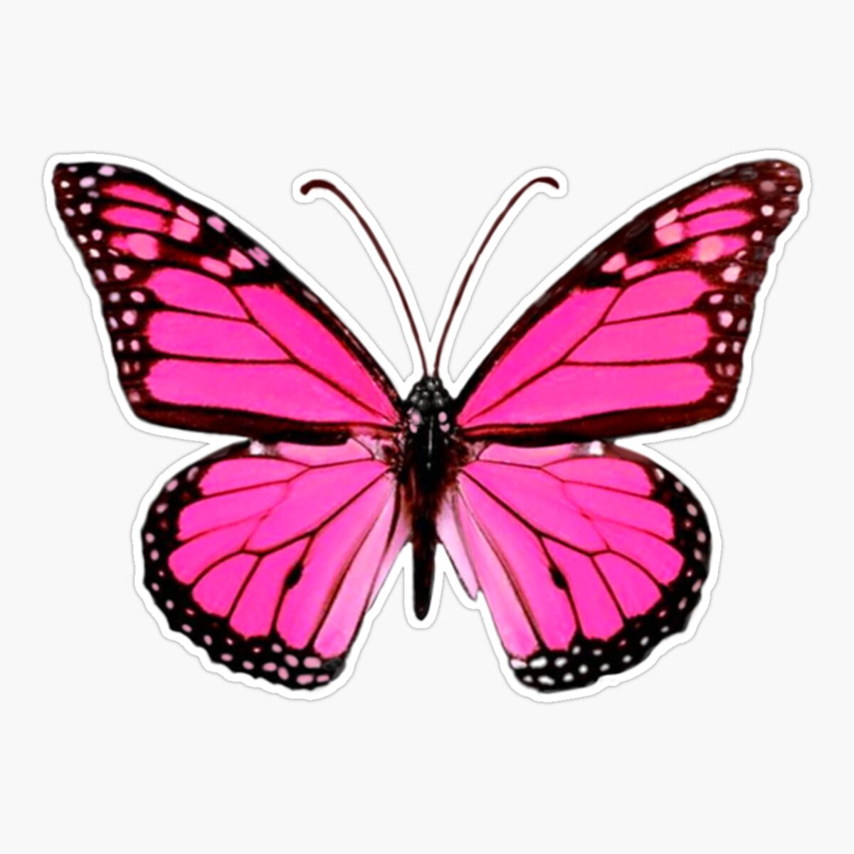 Onim Hot Pink Butterfly Sticker, Phone Decal Water Bottle Stickers Car ...
