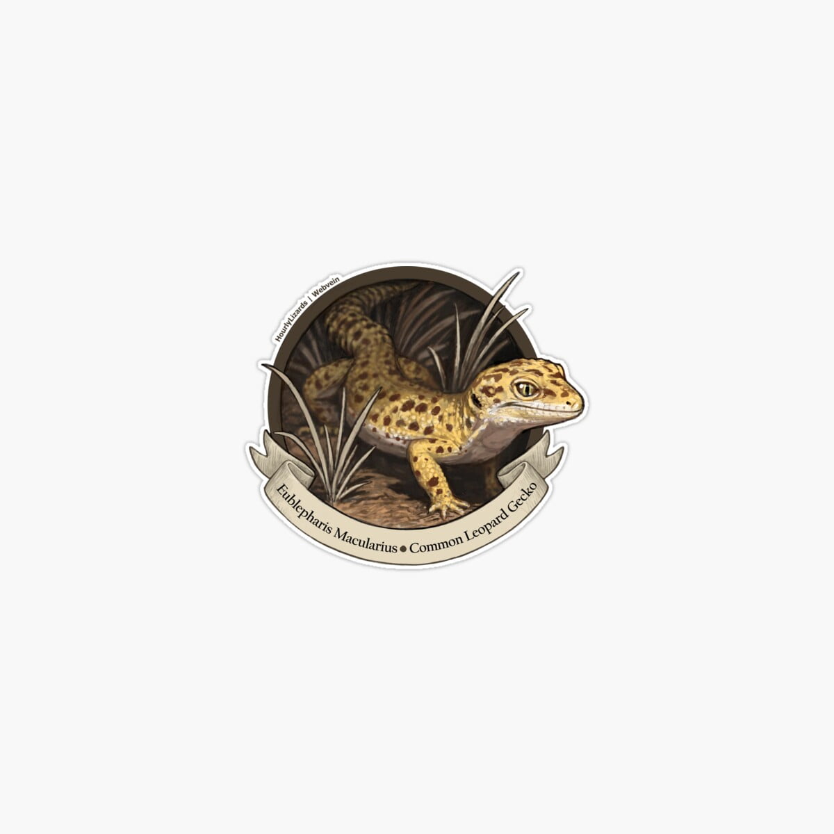 Onim Hourlylizards + Webvein | Common Leopard Gecko - Eublepharis ...