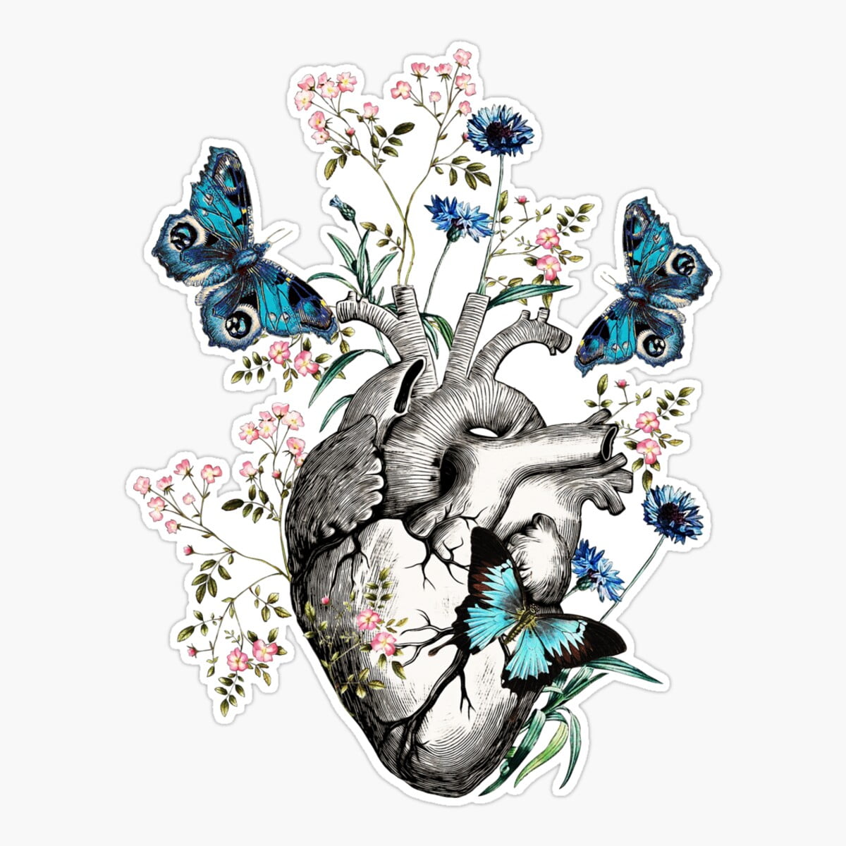 Onim Human Heart Anatomy With Blue Butterflies And Flowers, Floral Art ...