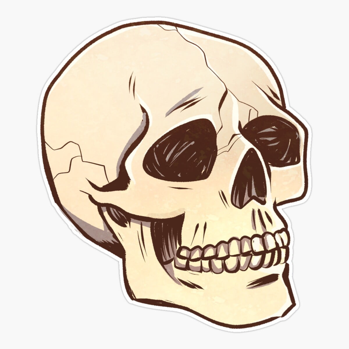 Onim Human Skull Brown Pattern Sticker, Phone Decal Water Bottle ...