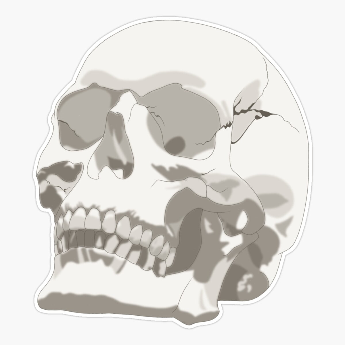 Onim Human Skull Sticker, Phone Decal Water Bottle Stickers Car Decals, Funny Birthday Gift ...