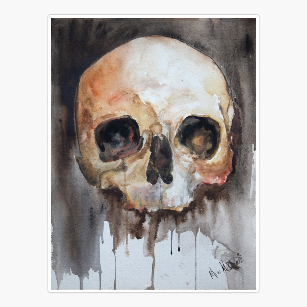 Onim Human Skull Watercolor 1 Sticker, Phone Decal Water Bottle ...