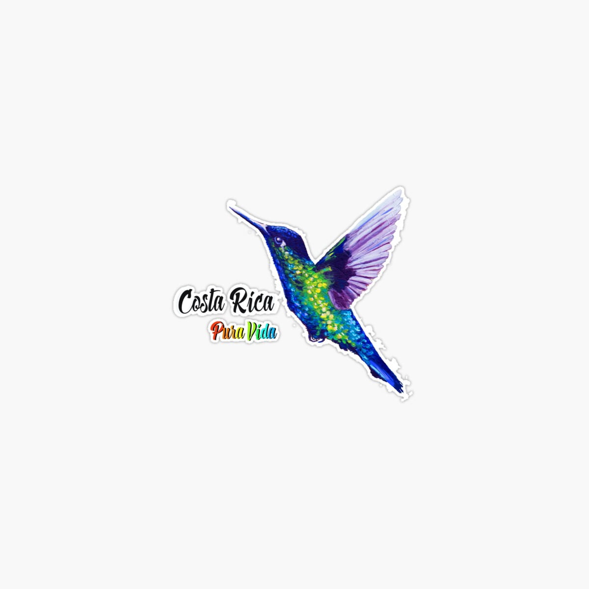 Onim Hummingbird, Costa Rica, Pura Vida Sticker, Phone Decal Water ...
