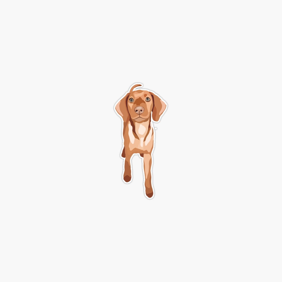Onim Hungarian Vizsla Dog Portrait Digital Illustration Sticker, Phone ...